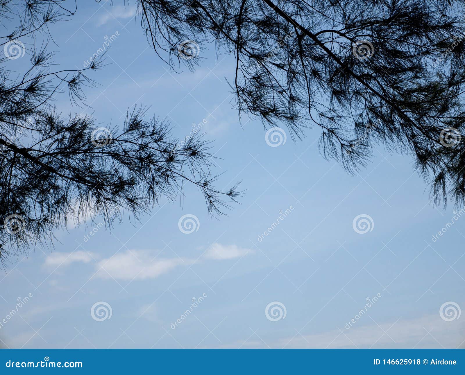 Natural Tree Branches Against Blue Sky Stock Photo - Image of foliage ...