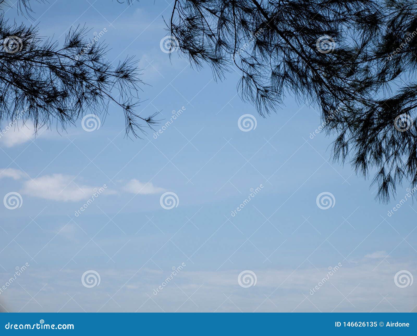 Natural Tree Branches Against Blue Sky Stock Image - Image of leaf ...