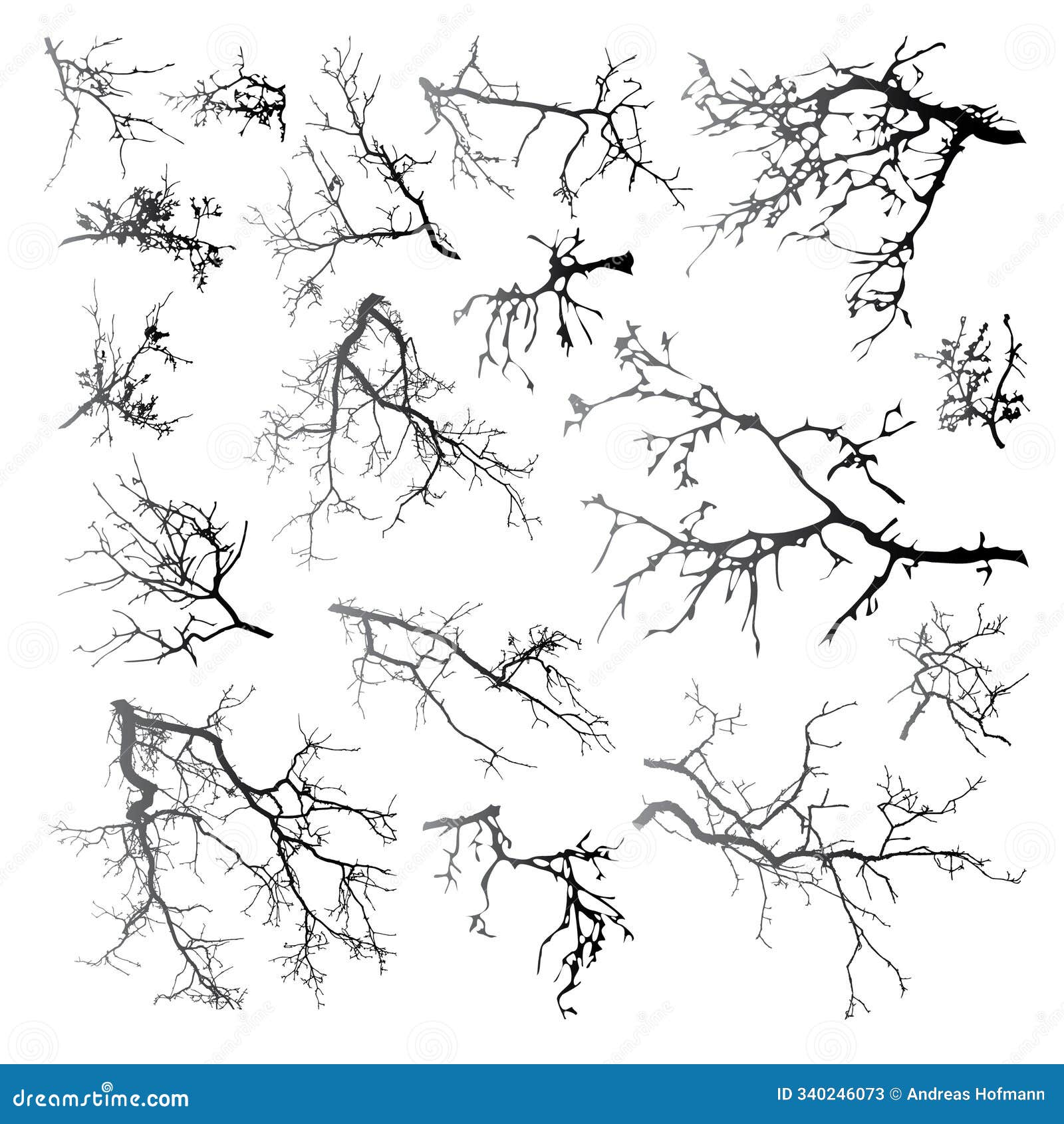 Natural Tree Branches Silhouette on a White Background (Vector ...