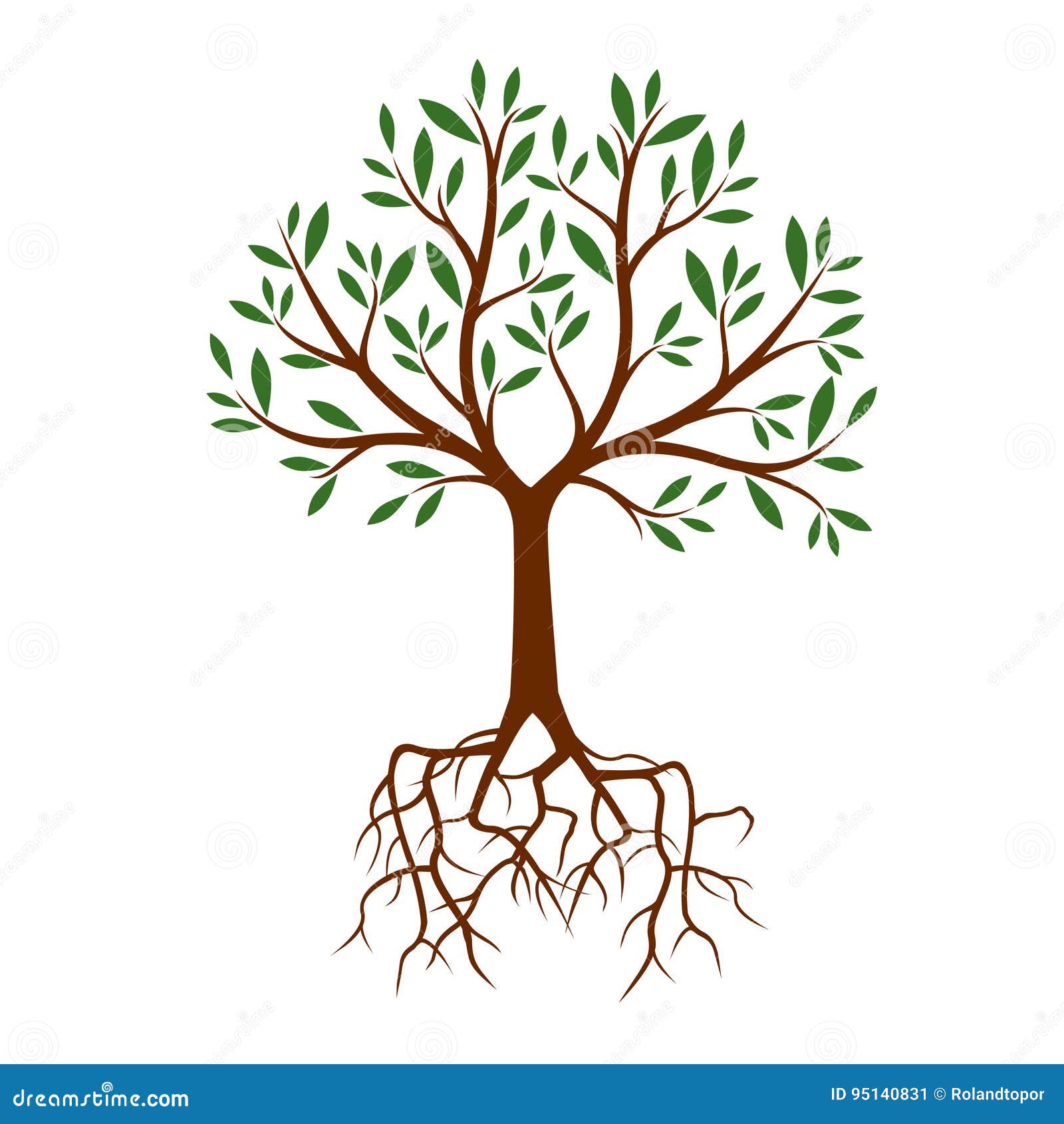 Natural Tree with Leaves and Roots. Vector Illustration. Stock ...
