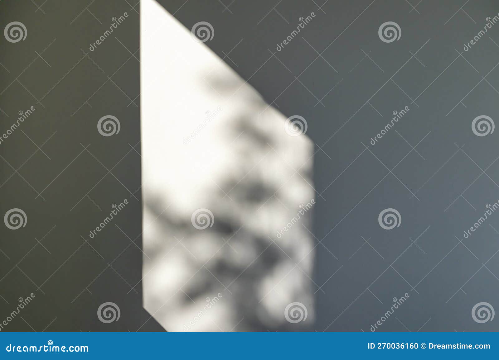 Natural Tree Leaves Shadow Drop on Window Background Stock Photo ...