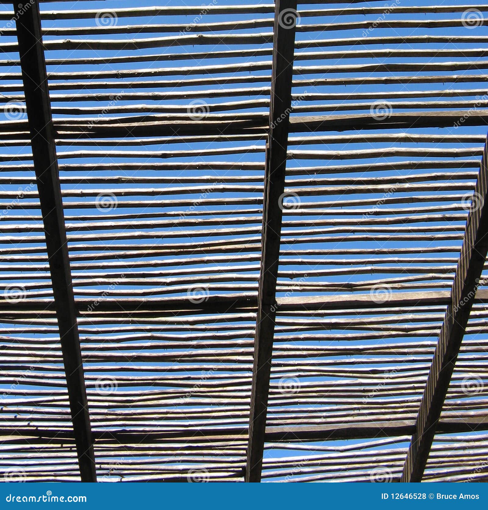 Natural trellis stock photo. Image of texture, abstract - 12646528