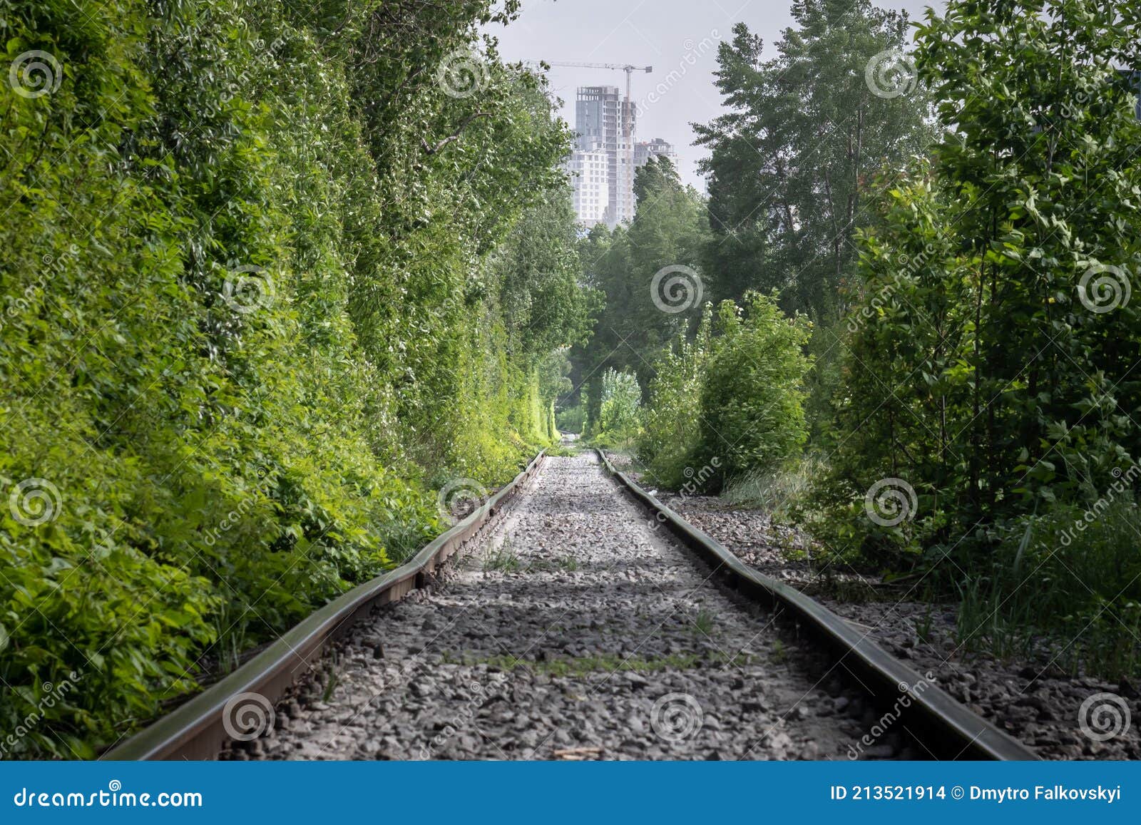 Natural Tunnel with Railway Road Formed by Trees Stock Photo - Image of ...