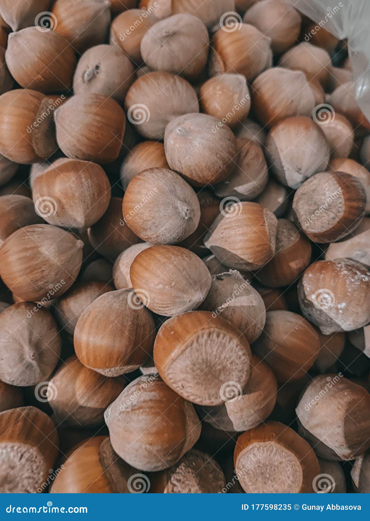 Natural and Very Healthy Hazelnuts. Stock Image - Image of healthyfood ...