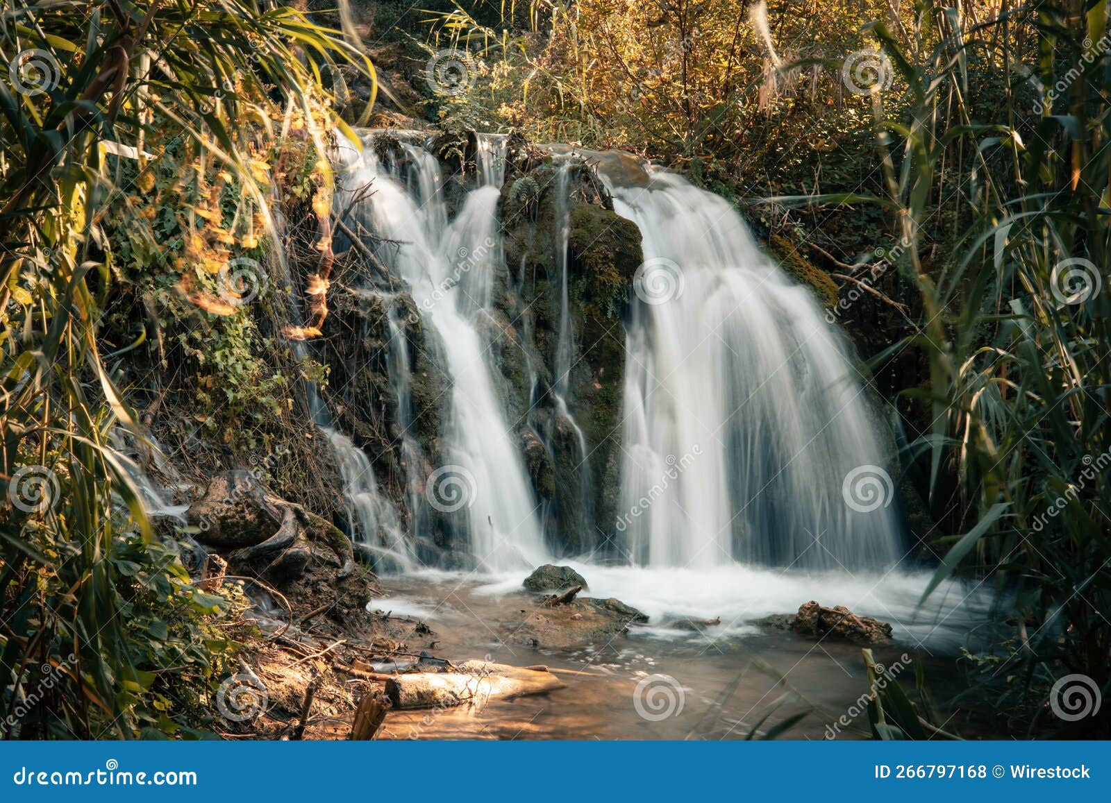 Natural View of a Beautiful Waterfall in a Rocky Forest Stock Photo ...