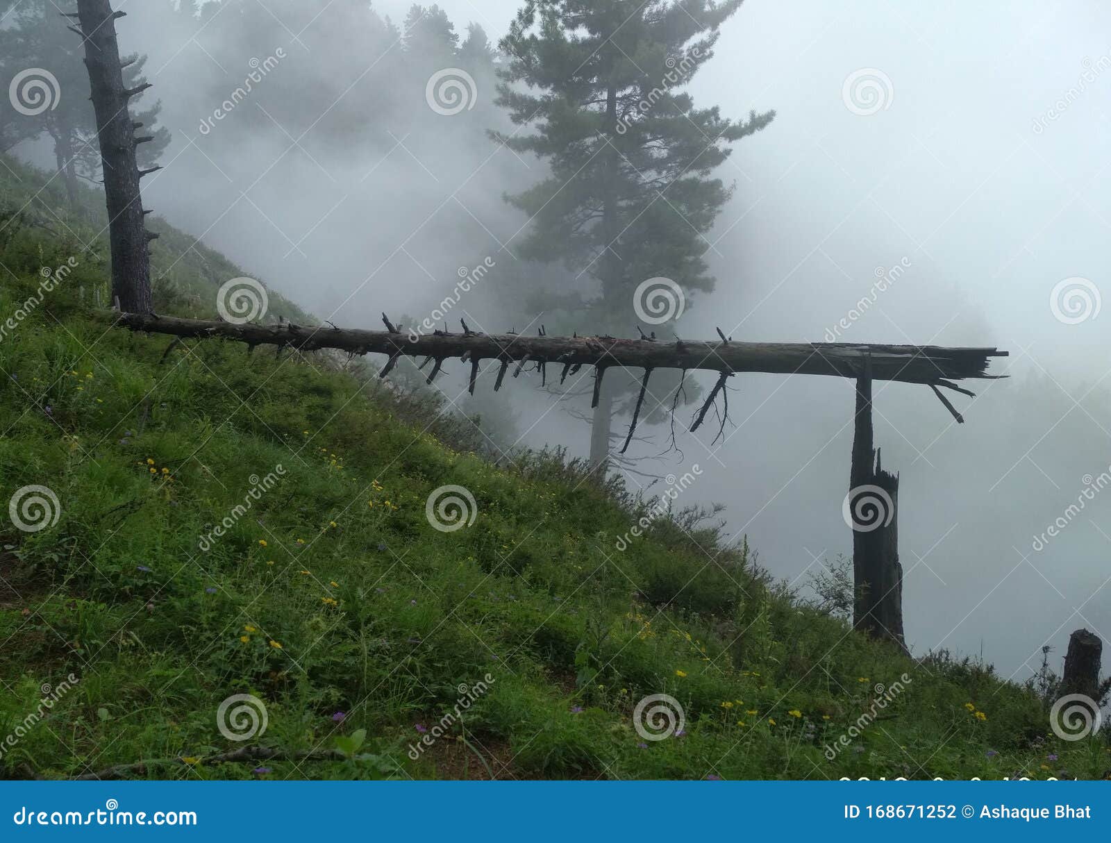 Natural View Disaster by Lighting Stock Photo - Image of lighting ...