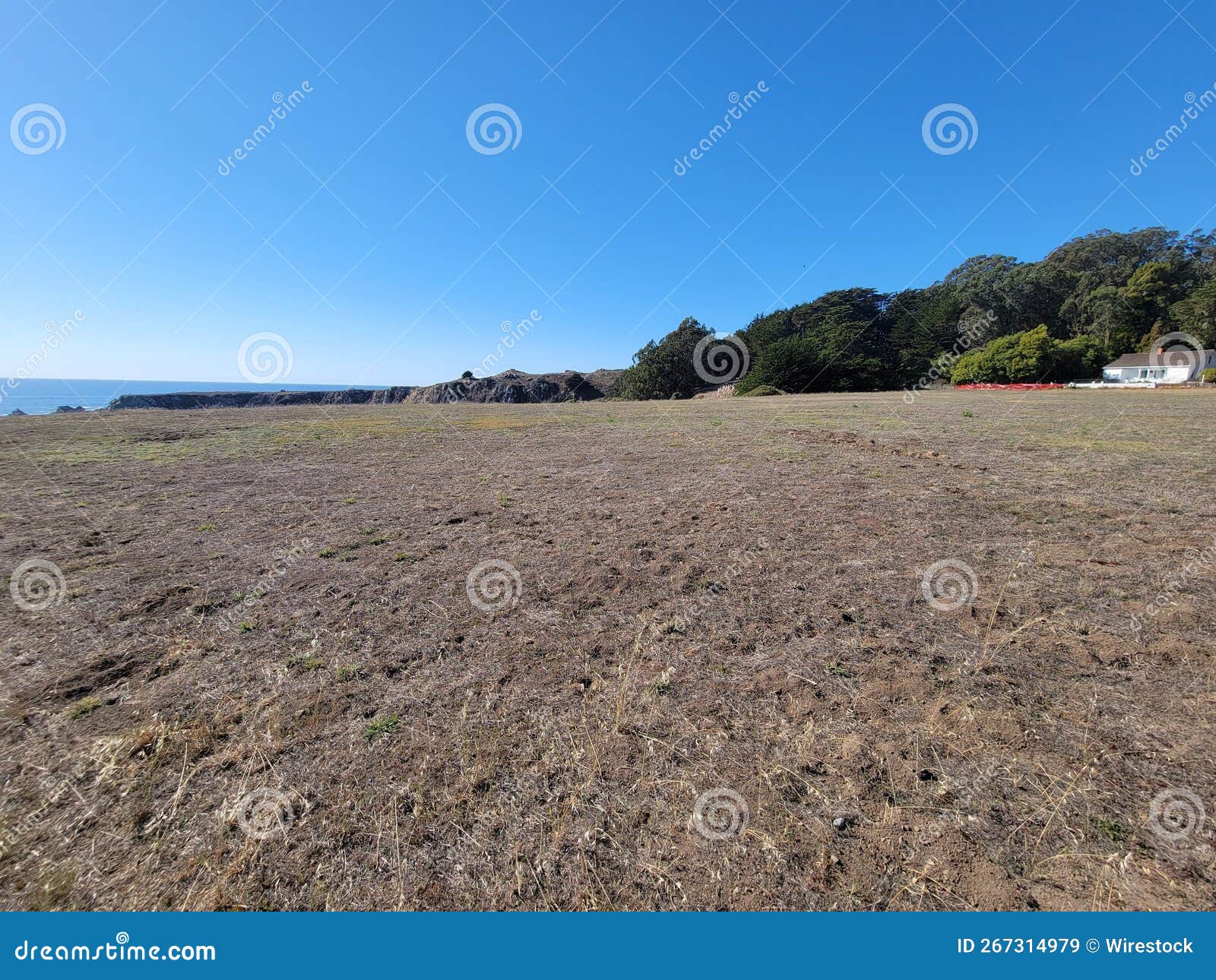Natural View of a Flat Field Next To the Ocean Stock Image - Image of ...