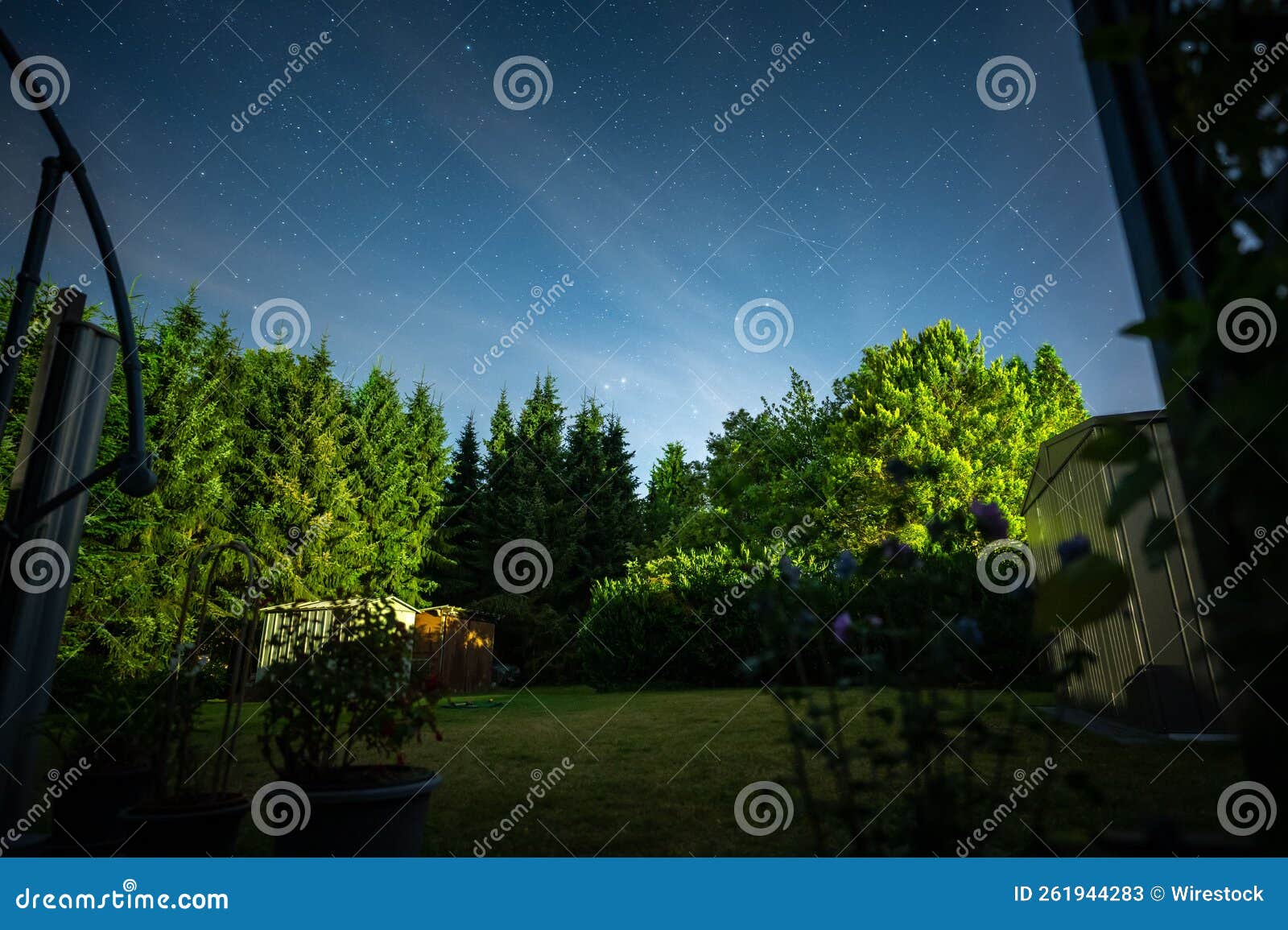 Natural View of a Green Lawn and Trees Under a Starry Night Stock Image ...