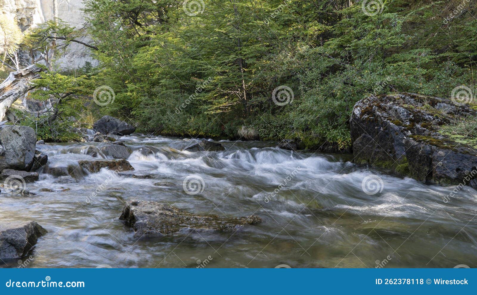 Natural View of a River Flowing Downstream Stock Photo - Image of creek ...