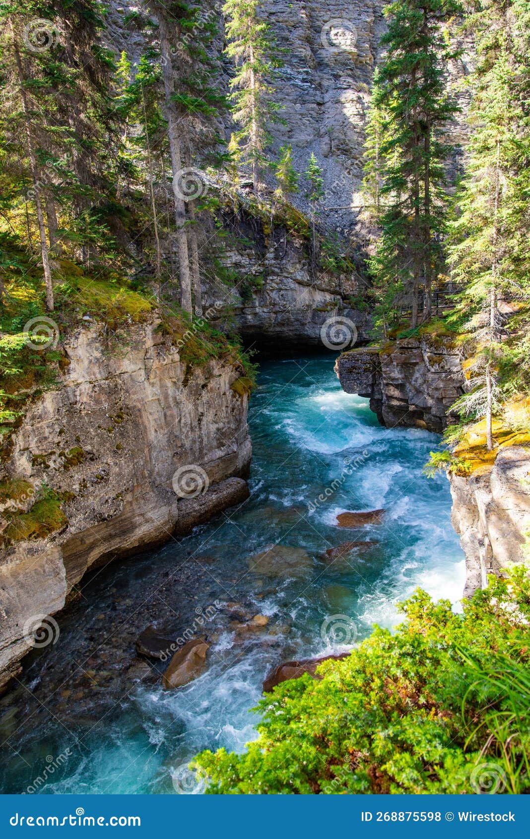 Natural View of a River in a Rocky Forest Stock Photo - Image of ...