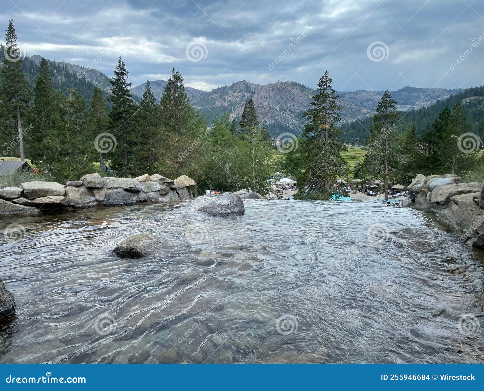 Natural View of a Rocky River and Forest Landscape in the Countryside ...