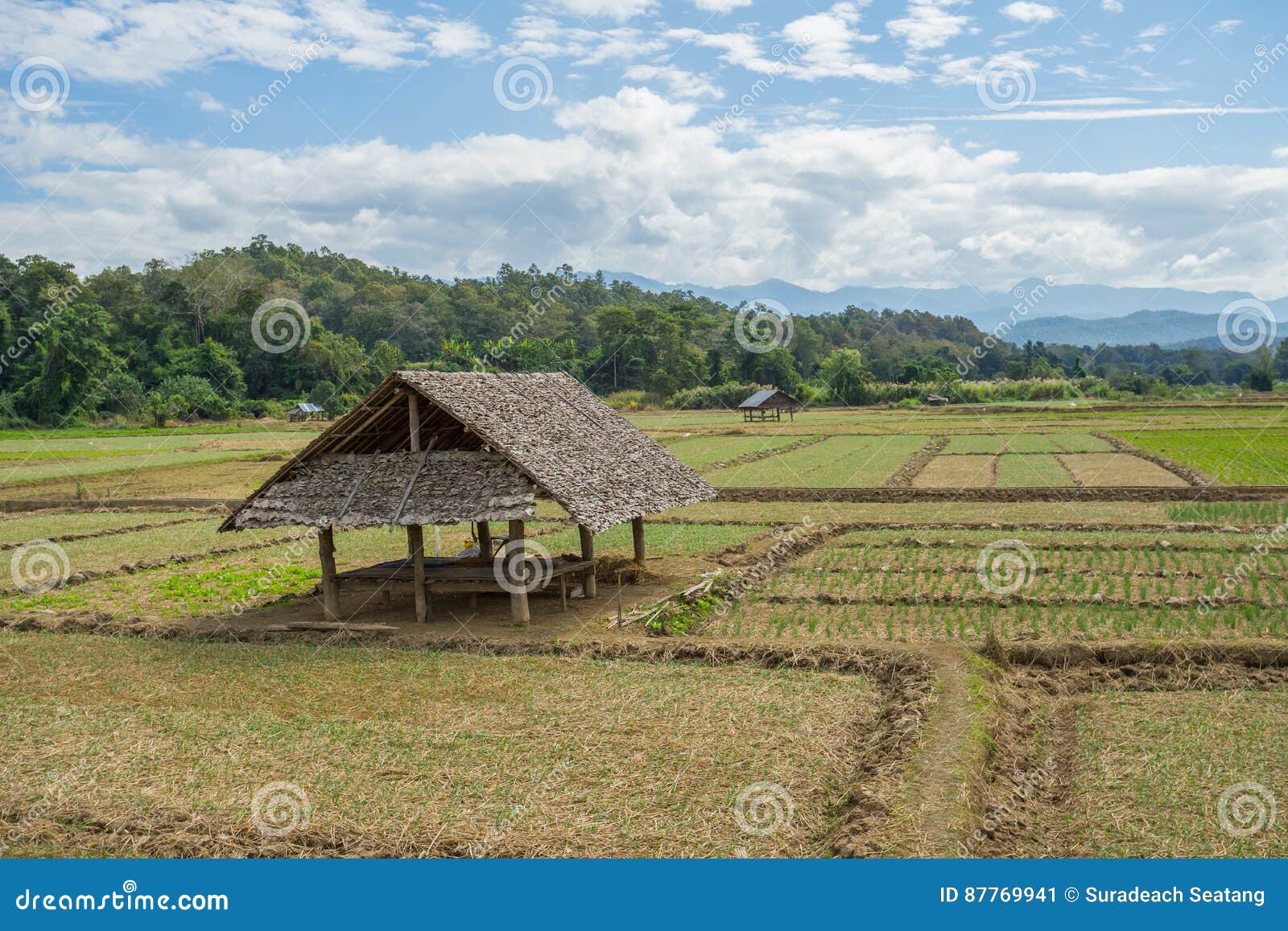 Natural View with the Small Hut Stock Image - Image of summer, green ...