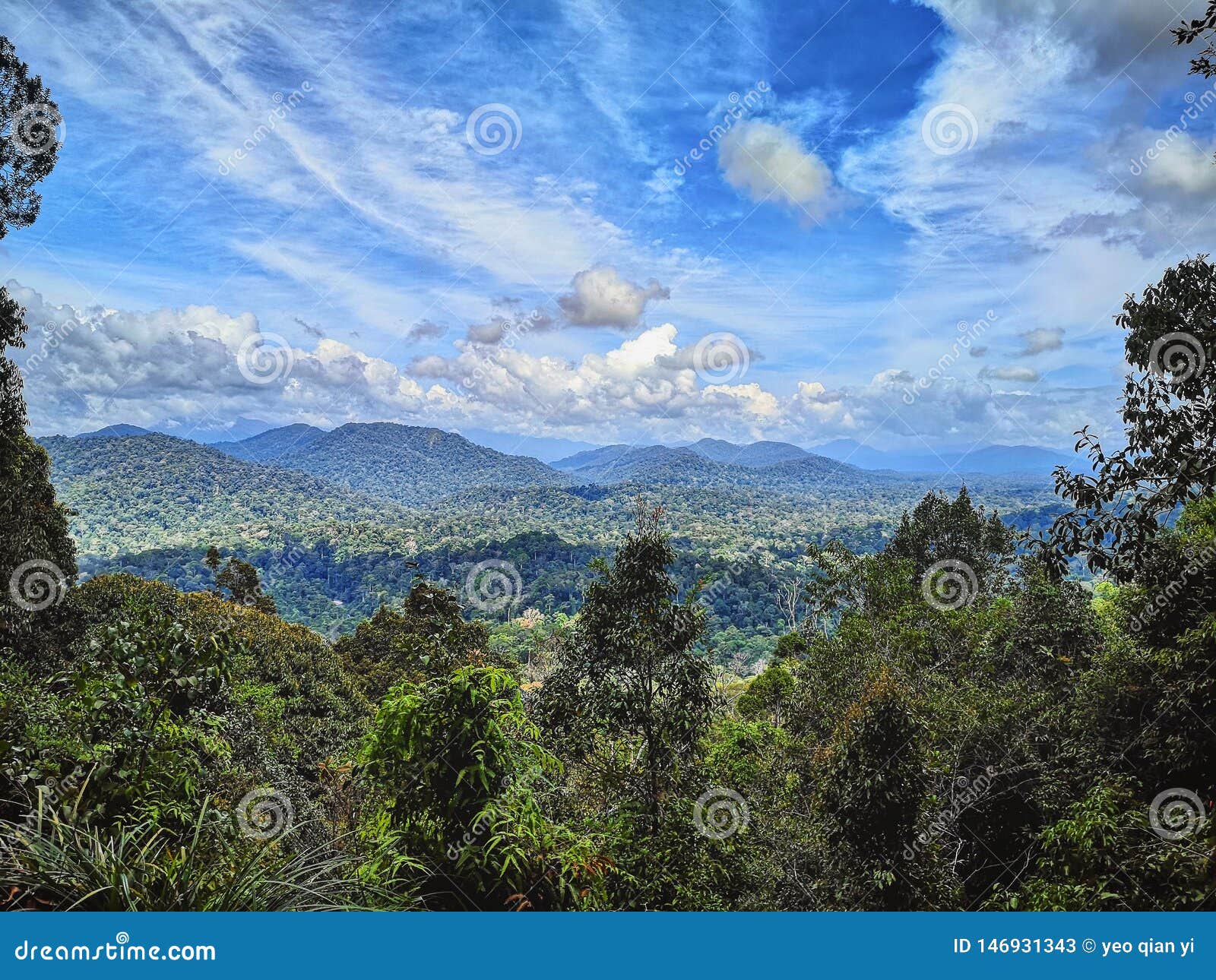 Natural View of Taman Negara Pahang Stock Image - Image of natural ...