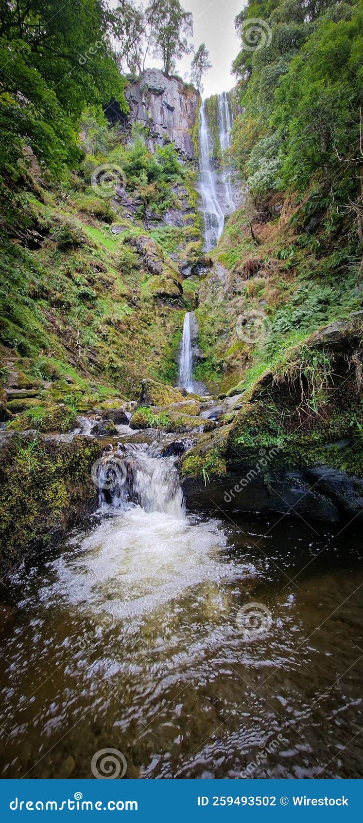 Natural View of Waterfall Flowing Downstream in a Forest Stock Photo ...
