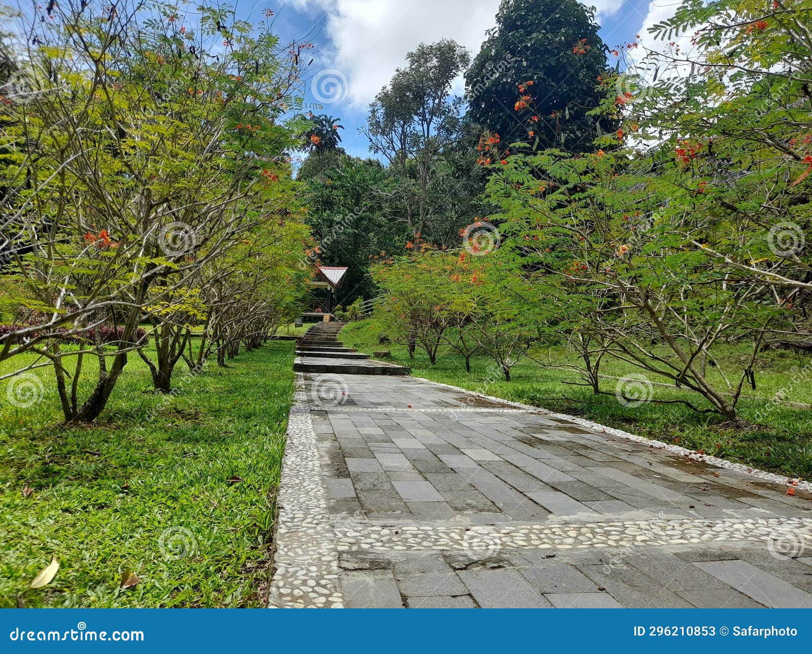 Natural Views of City Parks Stock Image - Image of views, natural ...