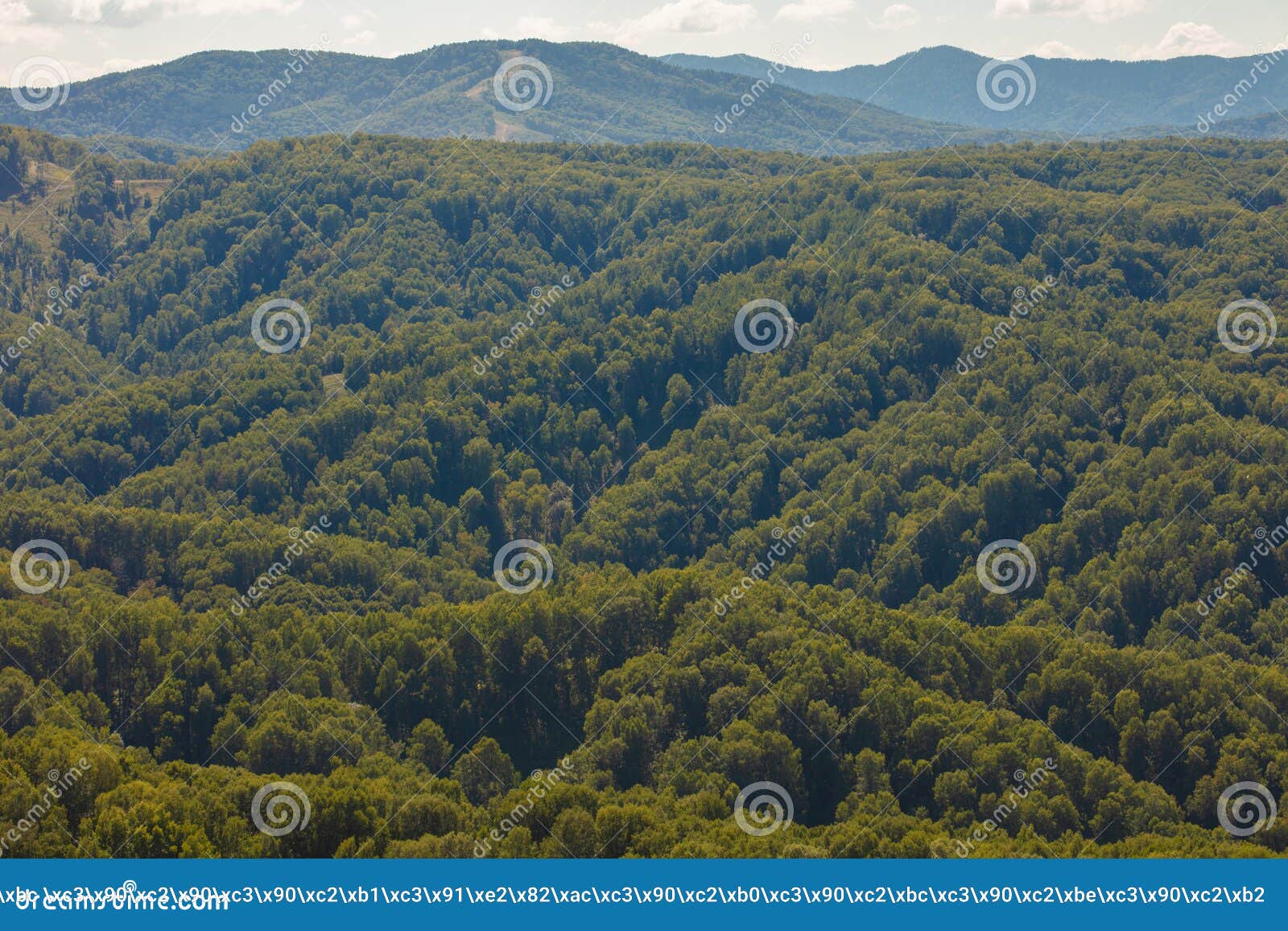 Natural Views from a Height. Beautiful Panoramic Landscape from a High ...
