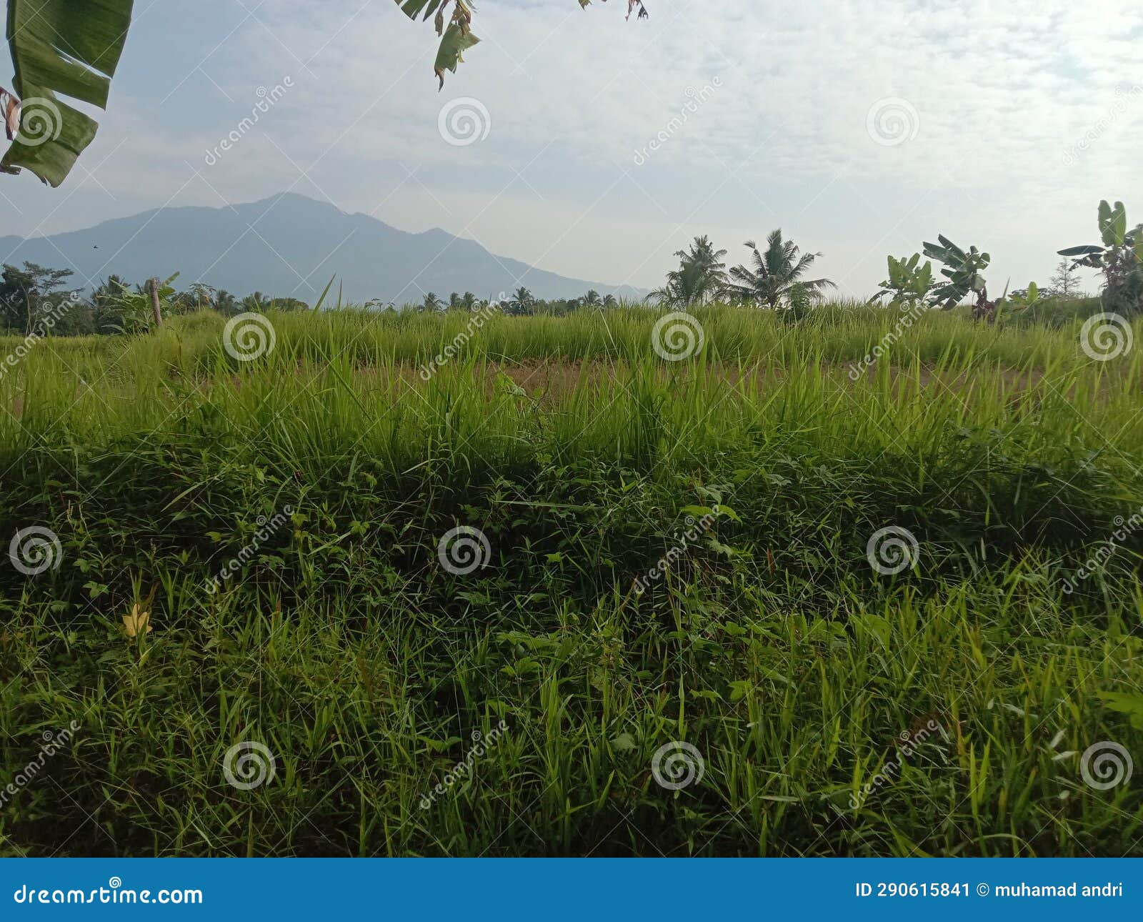 Natural Views and Mountains Visible from a Distance Stock Image - Image ...