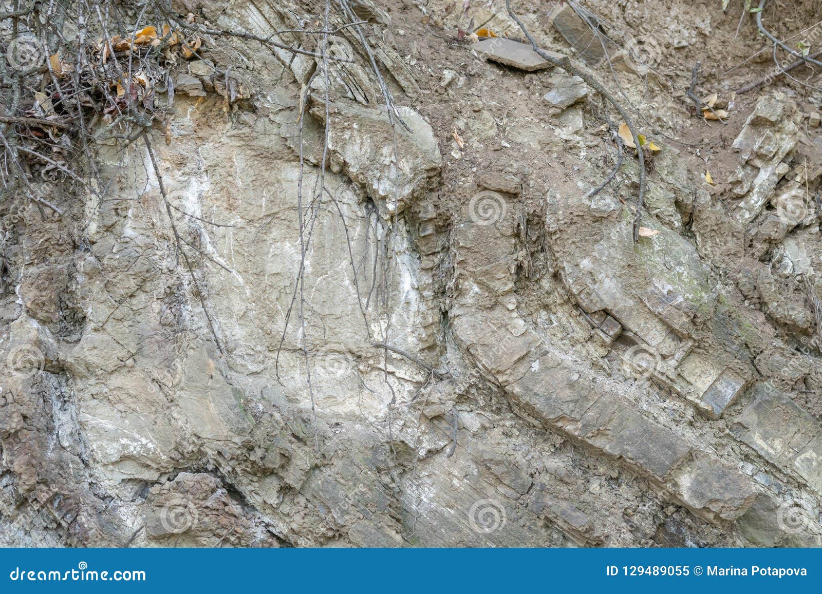 Natural Wall Texture with Soil, Stones and Tree Roots Closeup ...
