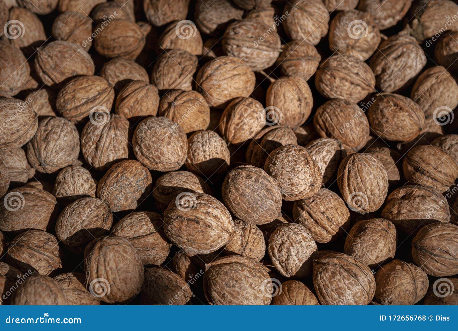 Natural Walnut Limed Wood Texture Background. Wood Background Stock ...