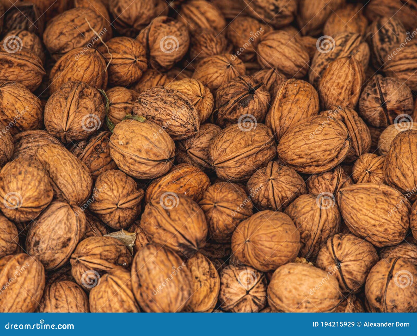 Natural Walnut Background Pattern Texture Abstract Walnuts Heap Pattern ...