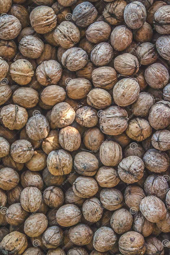 Natural Walnut Background Pattern Texture Abstract Walnuts Heap Pattern ...