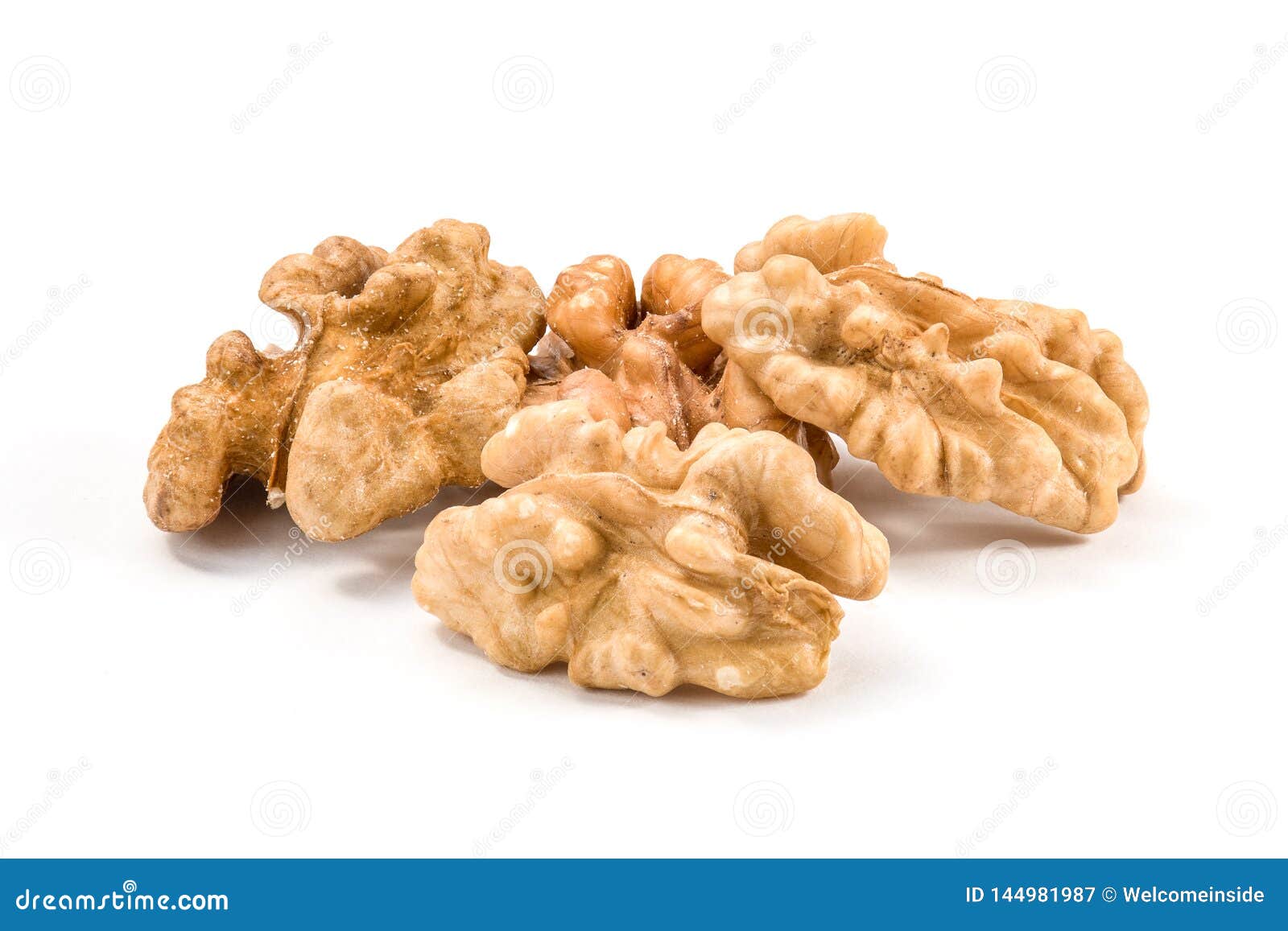 Walnut Kernel Core Macro Close-up Isolated Stock Image - Image of ...