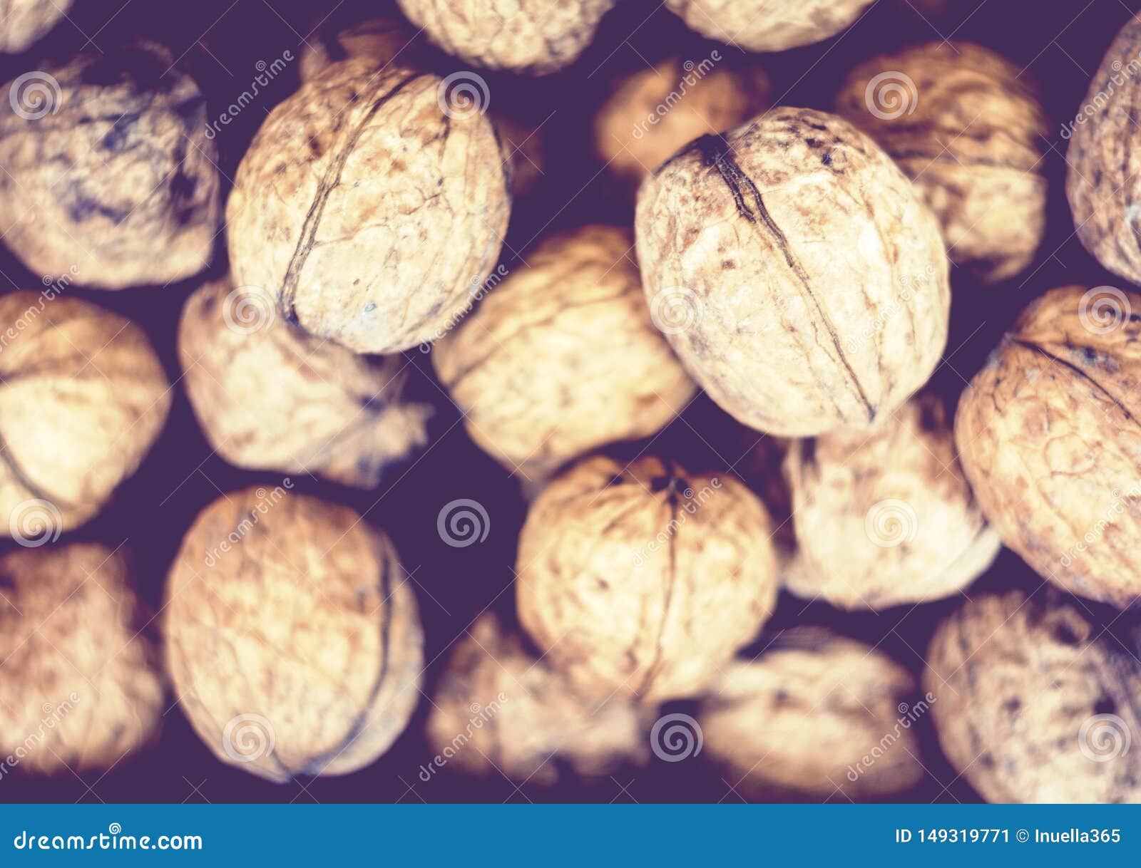 Natural Walnut in Shell Background Pattern Texture Stock Image - Image ...
