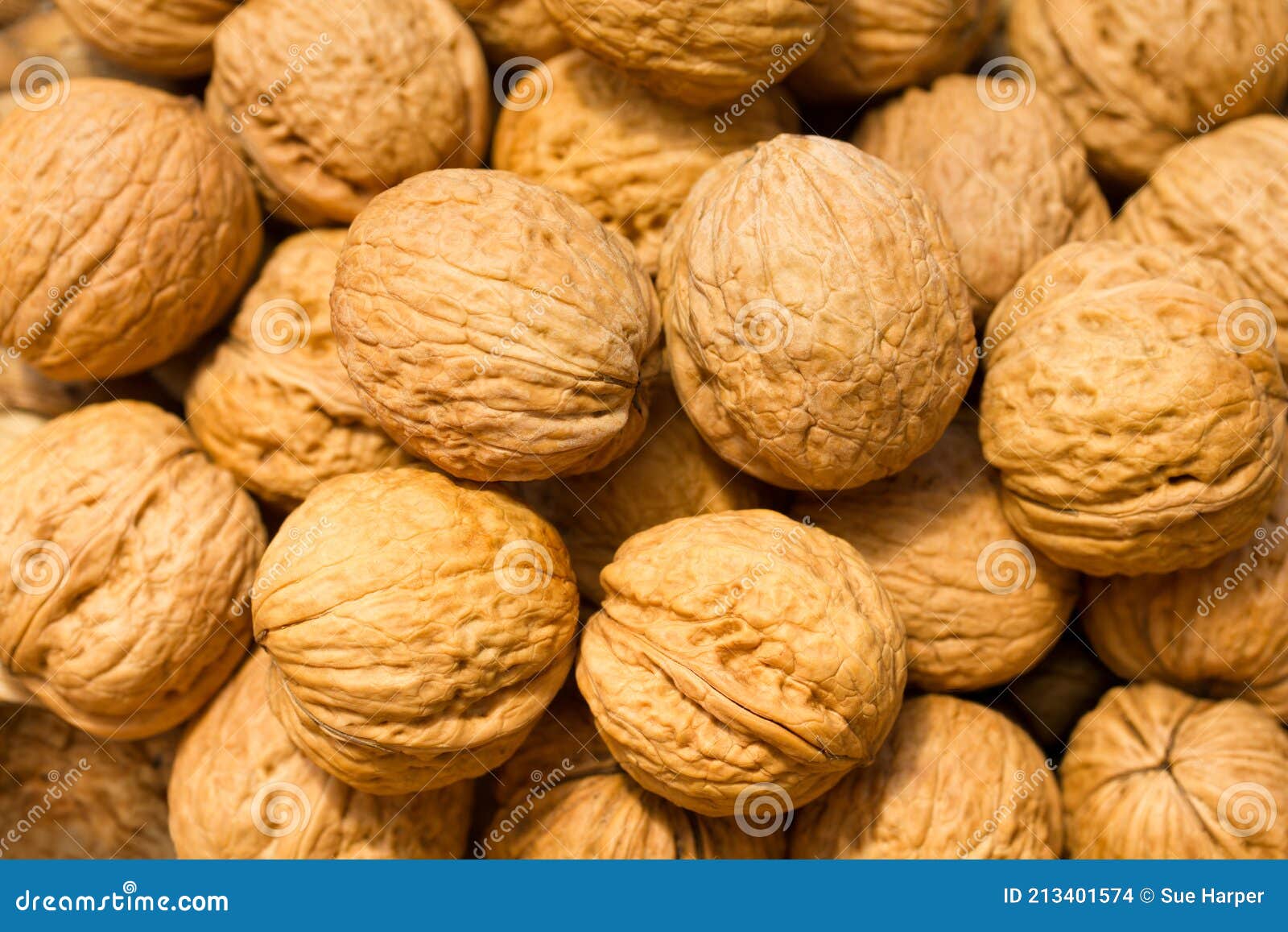 Natural Walnut in Shells Background Pattern Texture Abstract Closeup ...