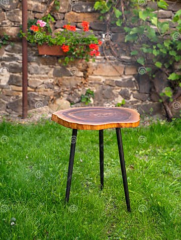 Natural Walnut Table from Cross Section of the Tree Stock Photo - Image ...