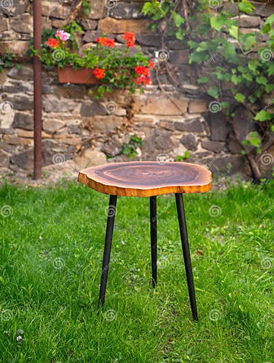 Natural Walnut Table from Cross Section of the Tree Stock Photo - Image ...