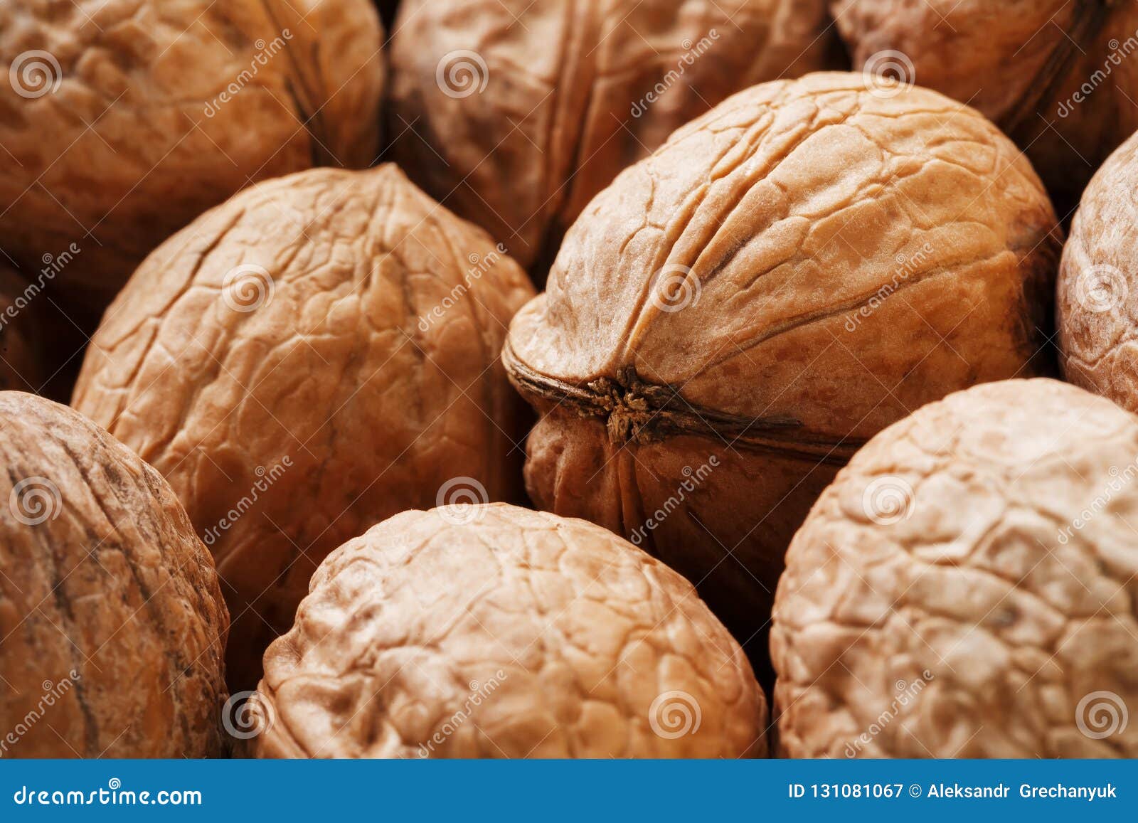 Natural Walnuts in Shell Background Dramatic Contrast Stock Image ...