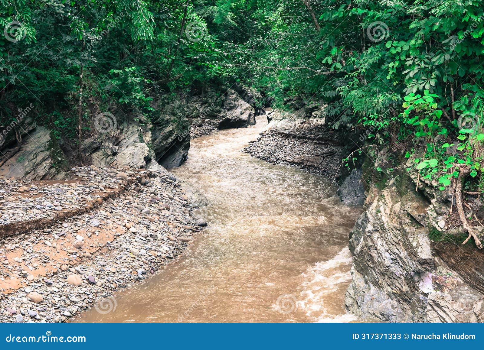 stock image. Image of firewood, sand, deer, tree, earth - 317371333
