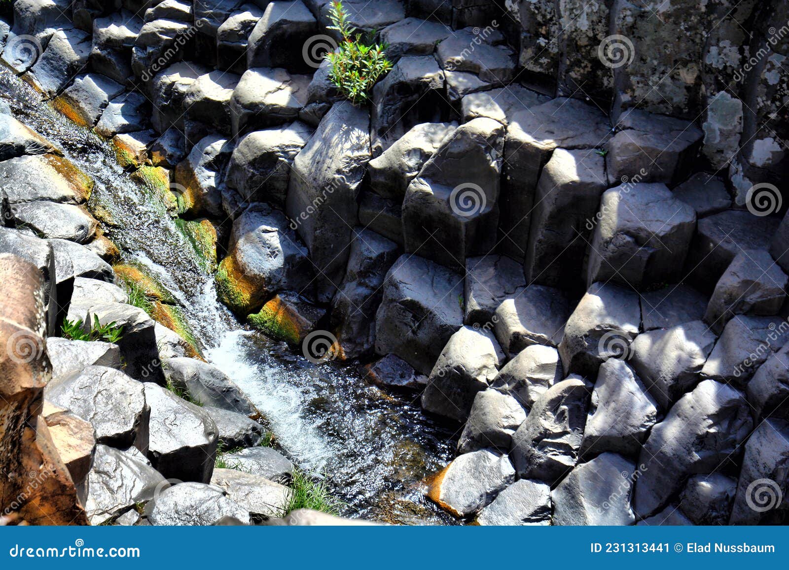 Natural water flow stock image. Image of tree, rocks - 231313441