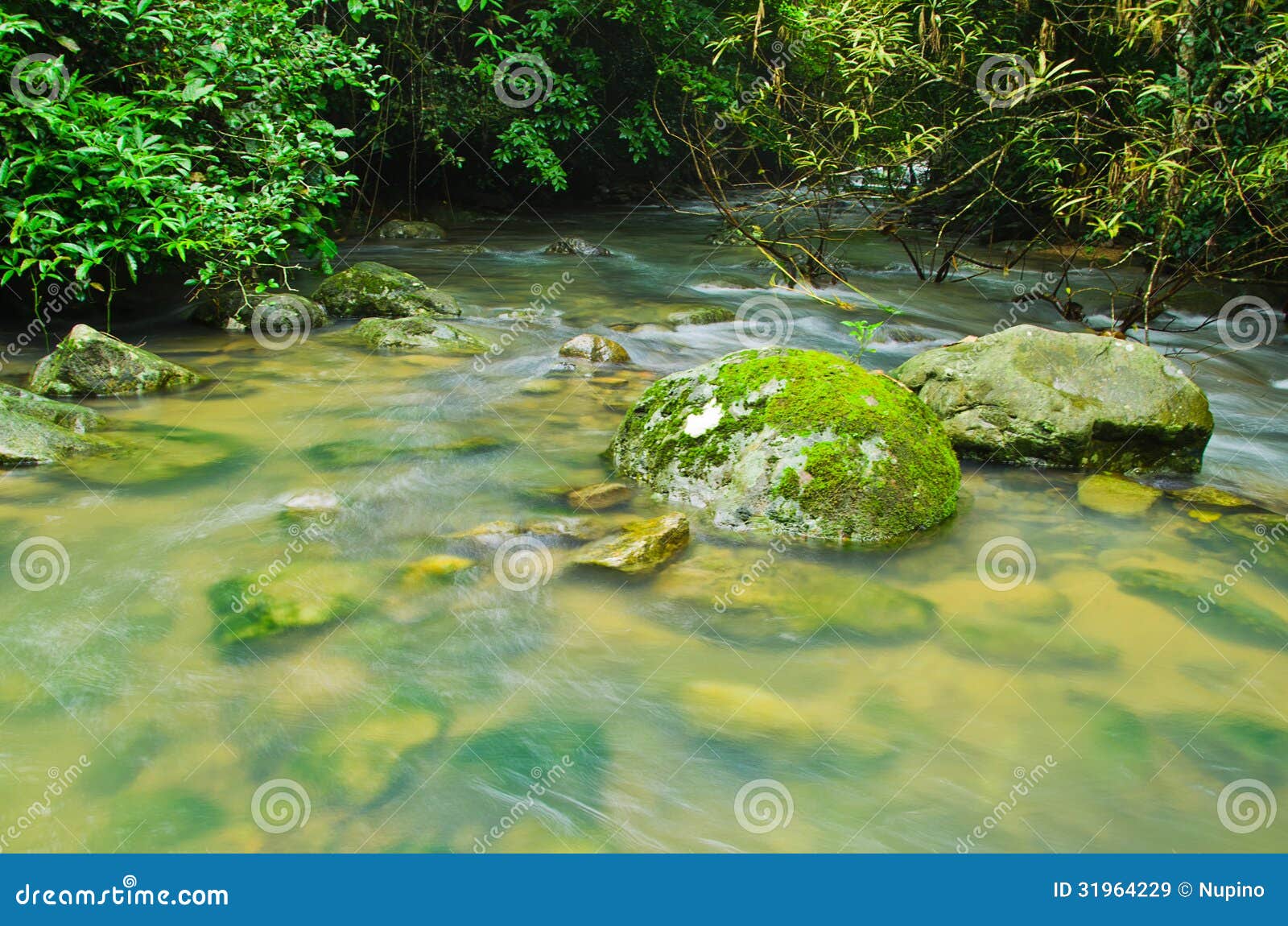 Natural water flow stock image. Image of scenery, fresh - 31964229