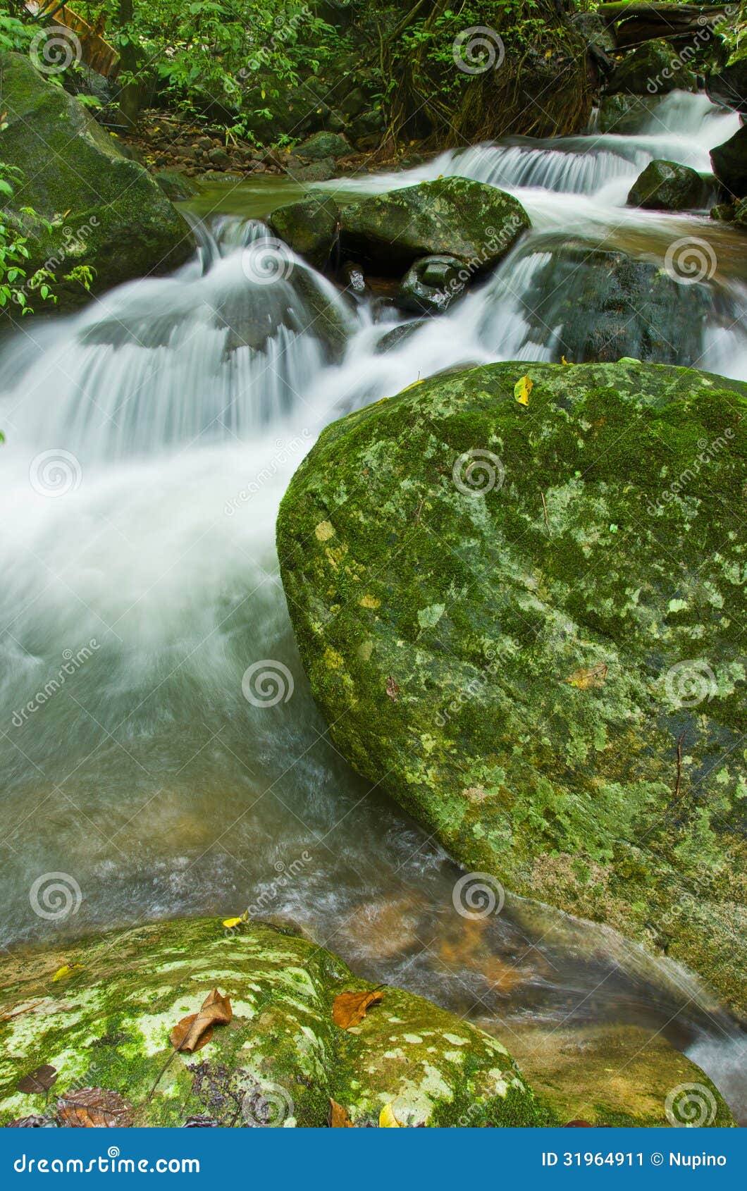 Natural water flow stock image. Image of landscape, flow - 31964911