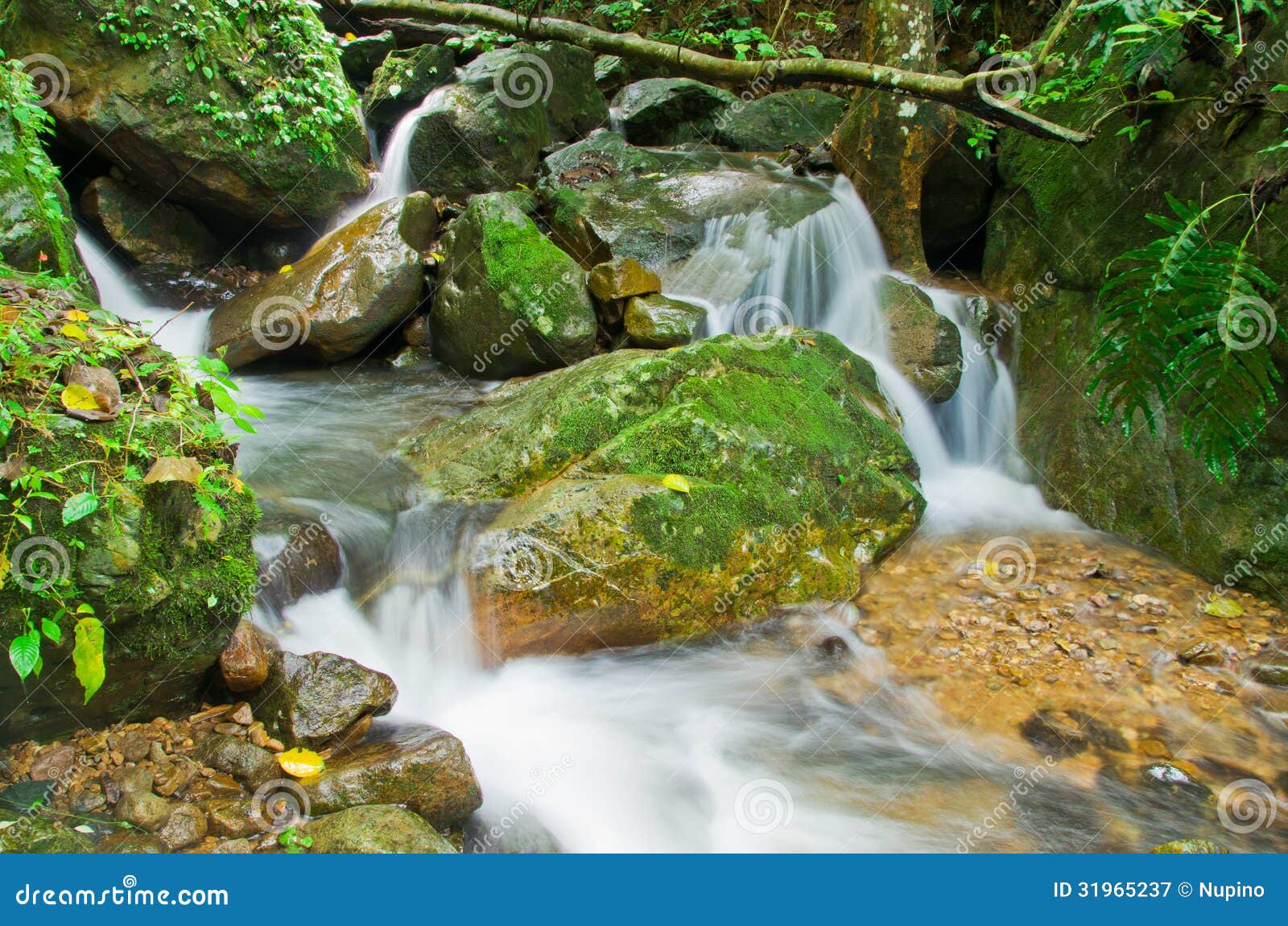 Natural water flow stock image. Image of green, landscape - 31965237