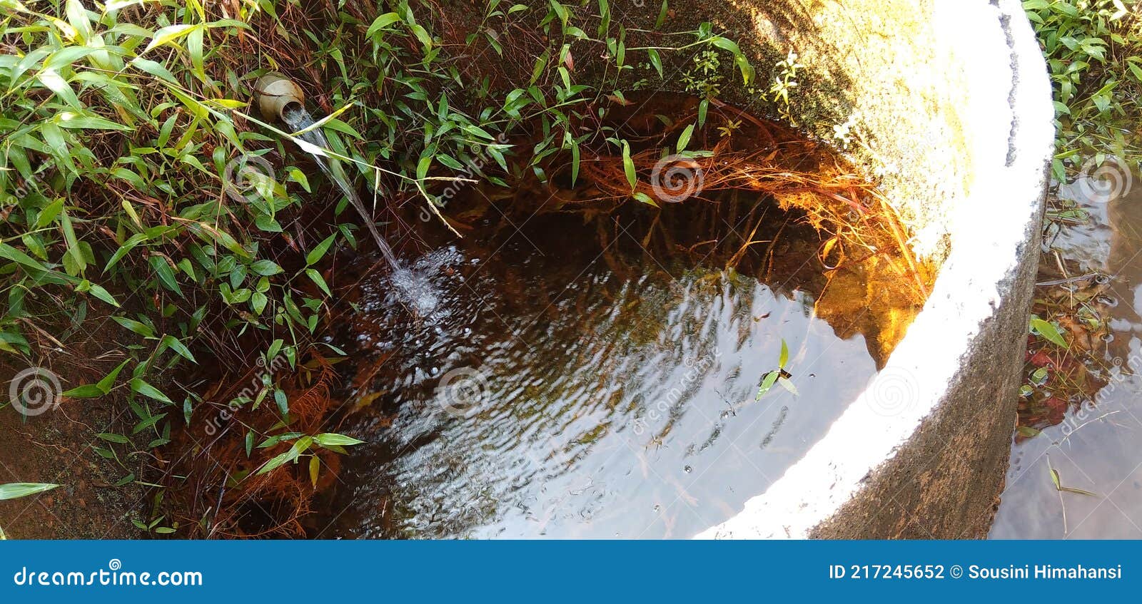 The Natural Water Resources(jala Ulpath) Stock Photo - Image of ...