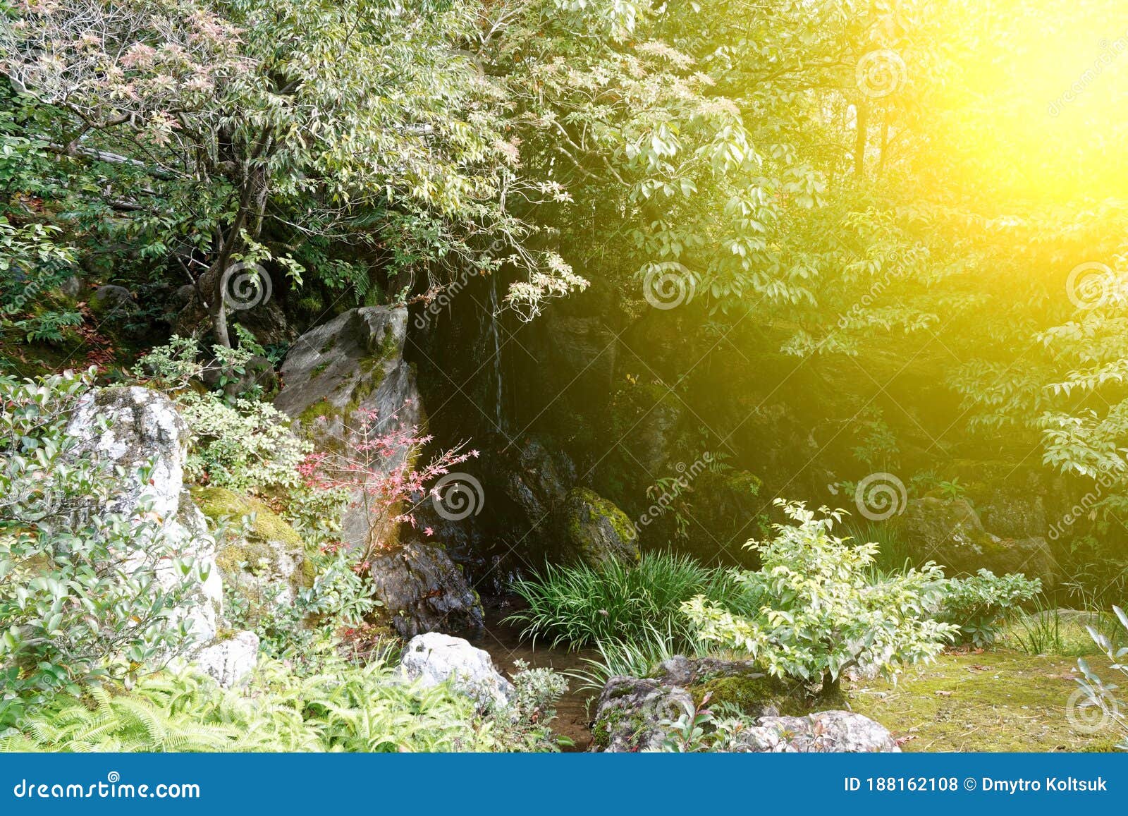 Natural Water Source in the Mountains. the Water is Falling from a Tree ...