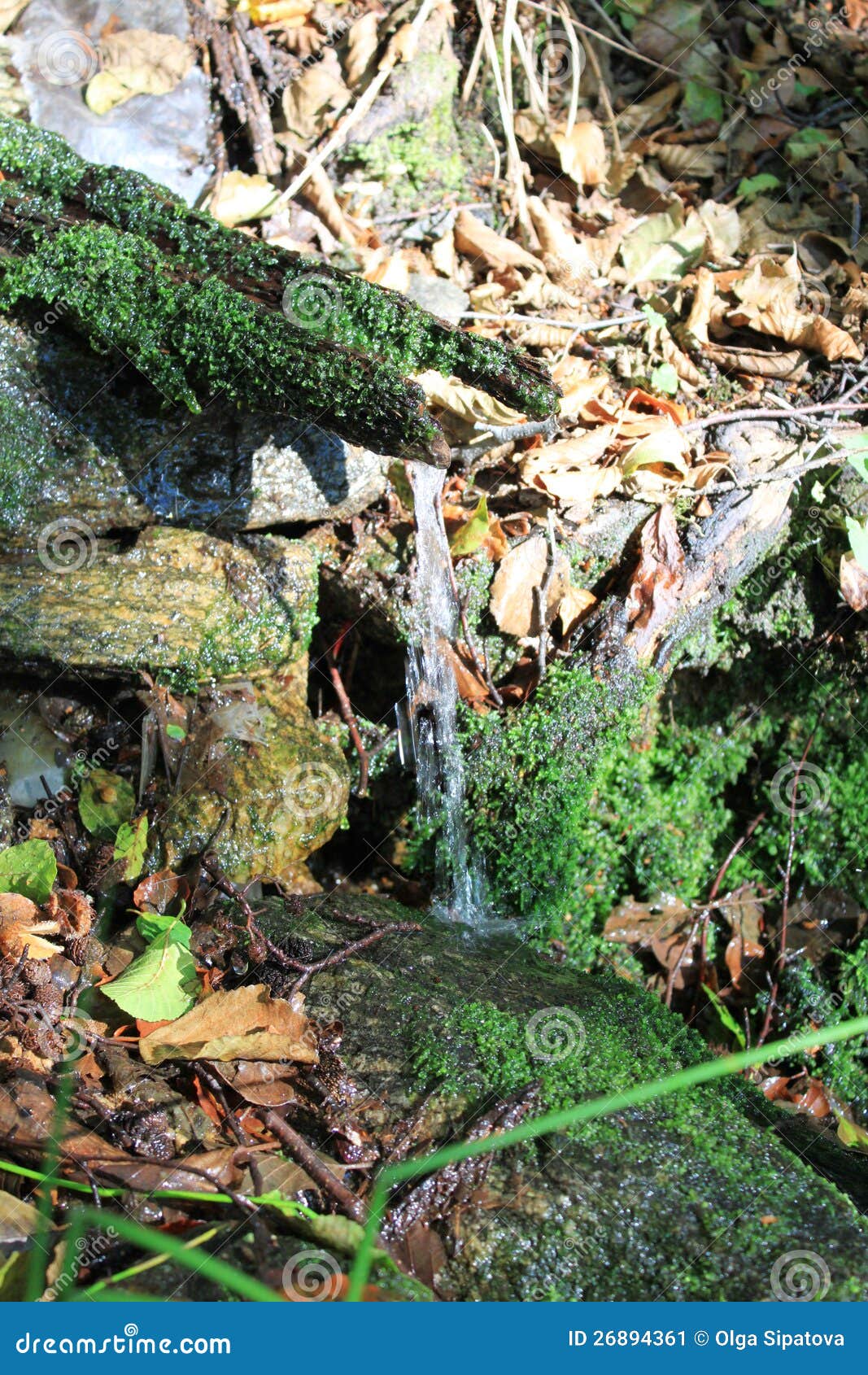 Natural Water Spring stock image. Image of fountain, flow - 26894361