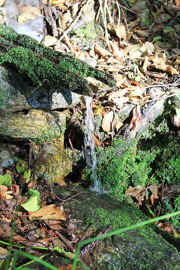 Natural Water Spring stock image. Image of fountain, flow - 26894361