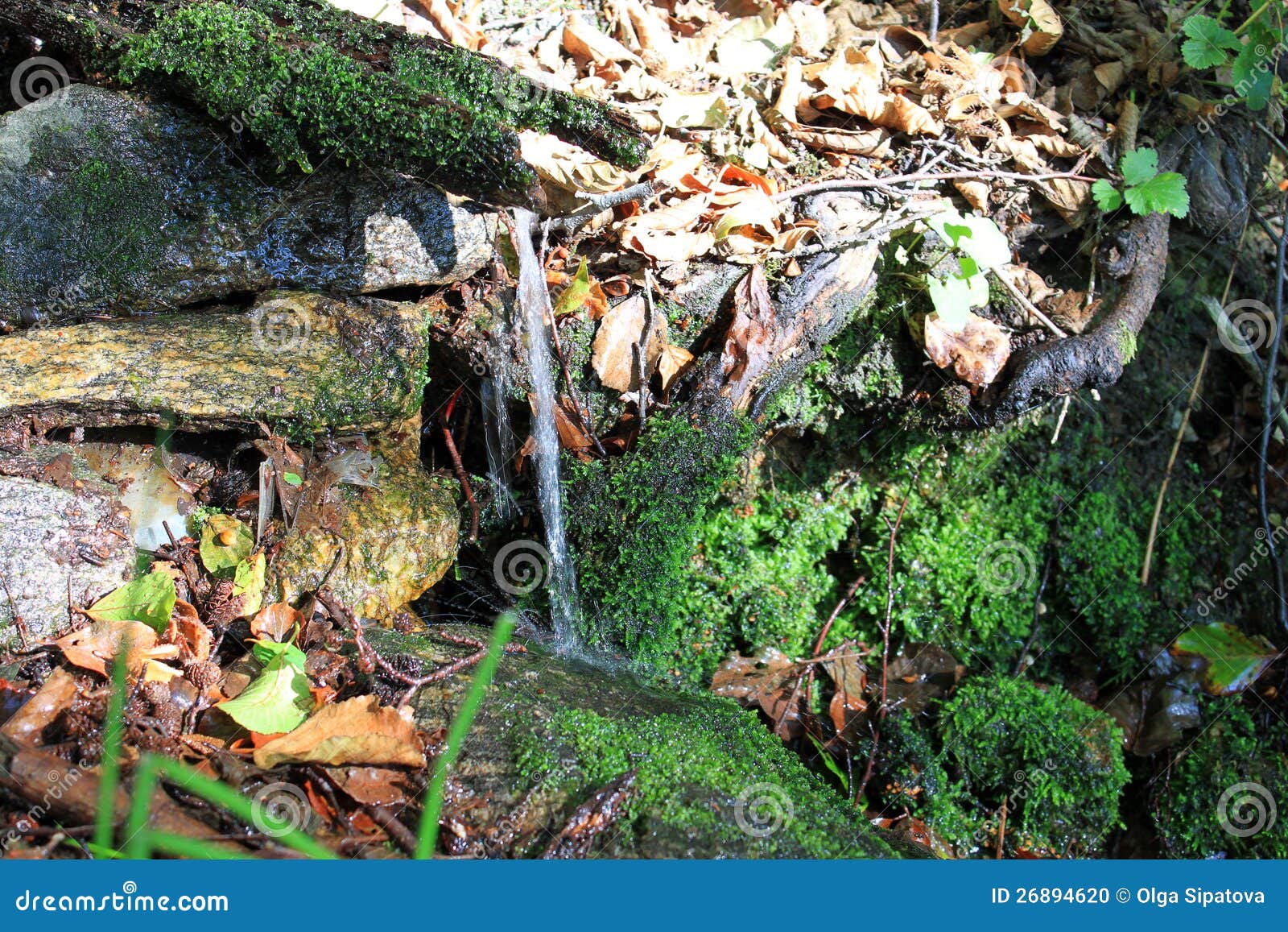 Natural Water Spring stock photo. Image of natural, green - 26894620
