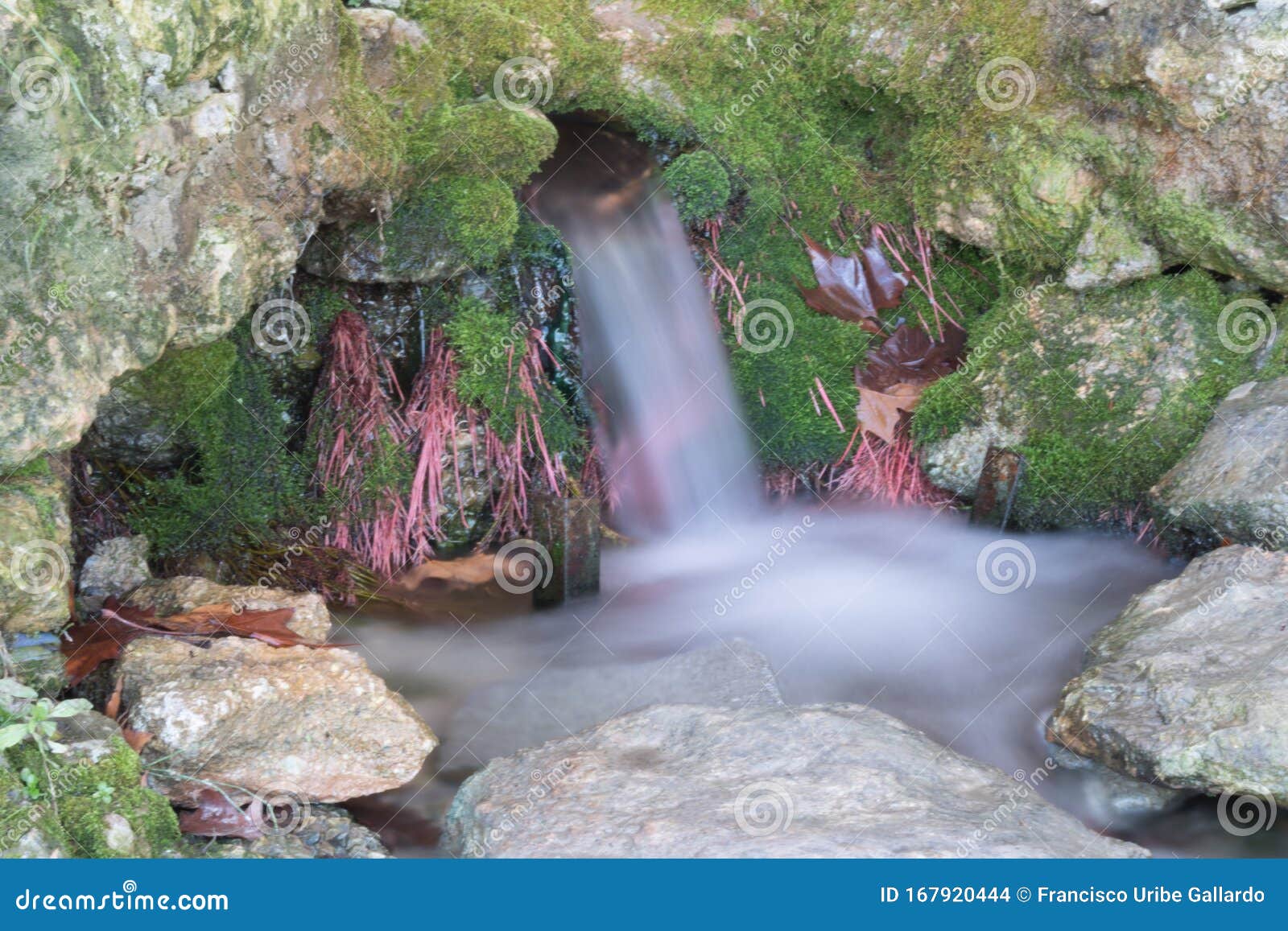 Natural Water Spring with Moss Stock Photo - Image of effect, waterfall ...