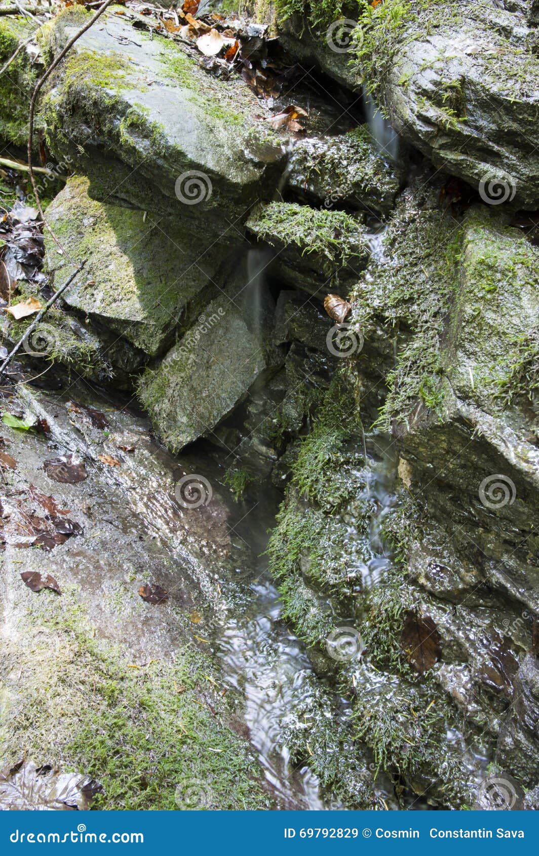 Natural water spring stock image. Image of outdoor, fluid - 69792829