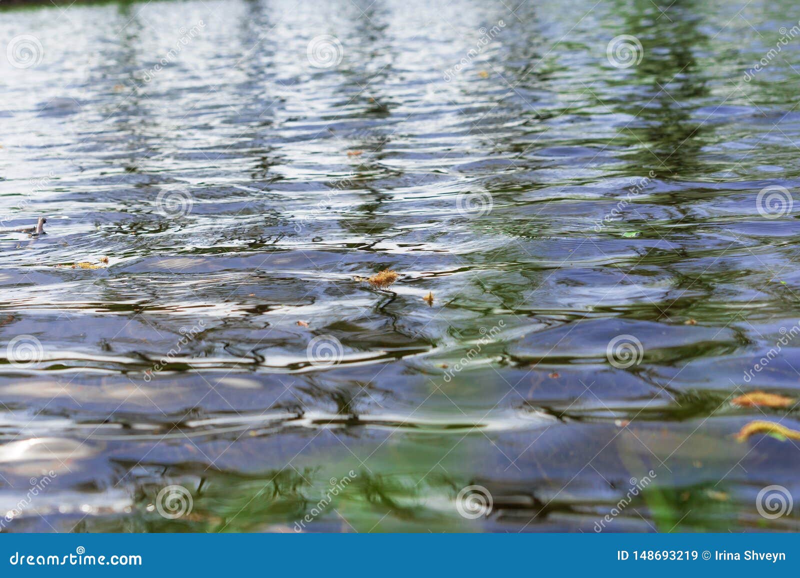 Natural Ripples on the Surface of the Lake Stock Image - Image of ...