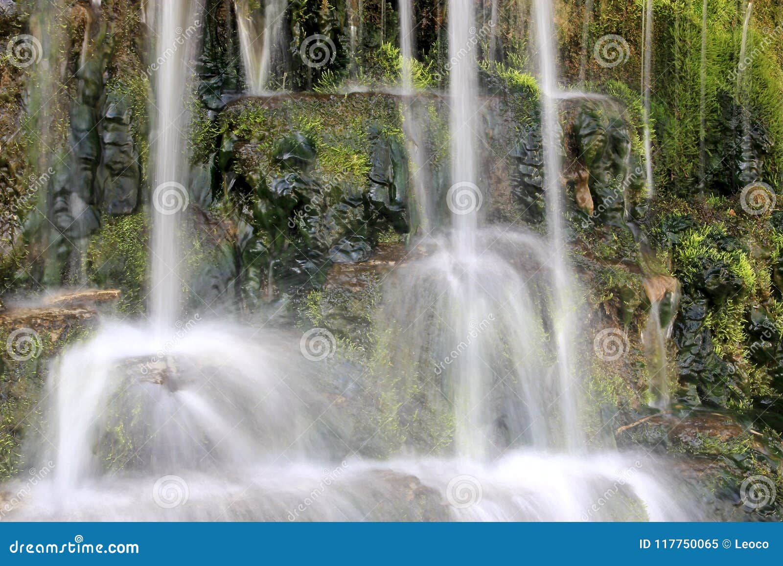 Natural water stock image. Image of scenic, green, scenery - 117750065
