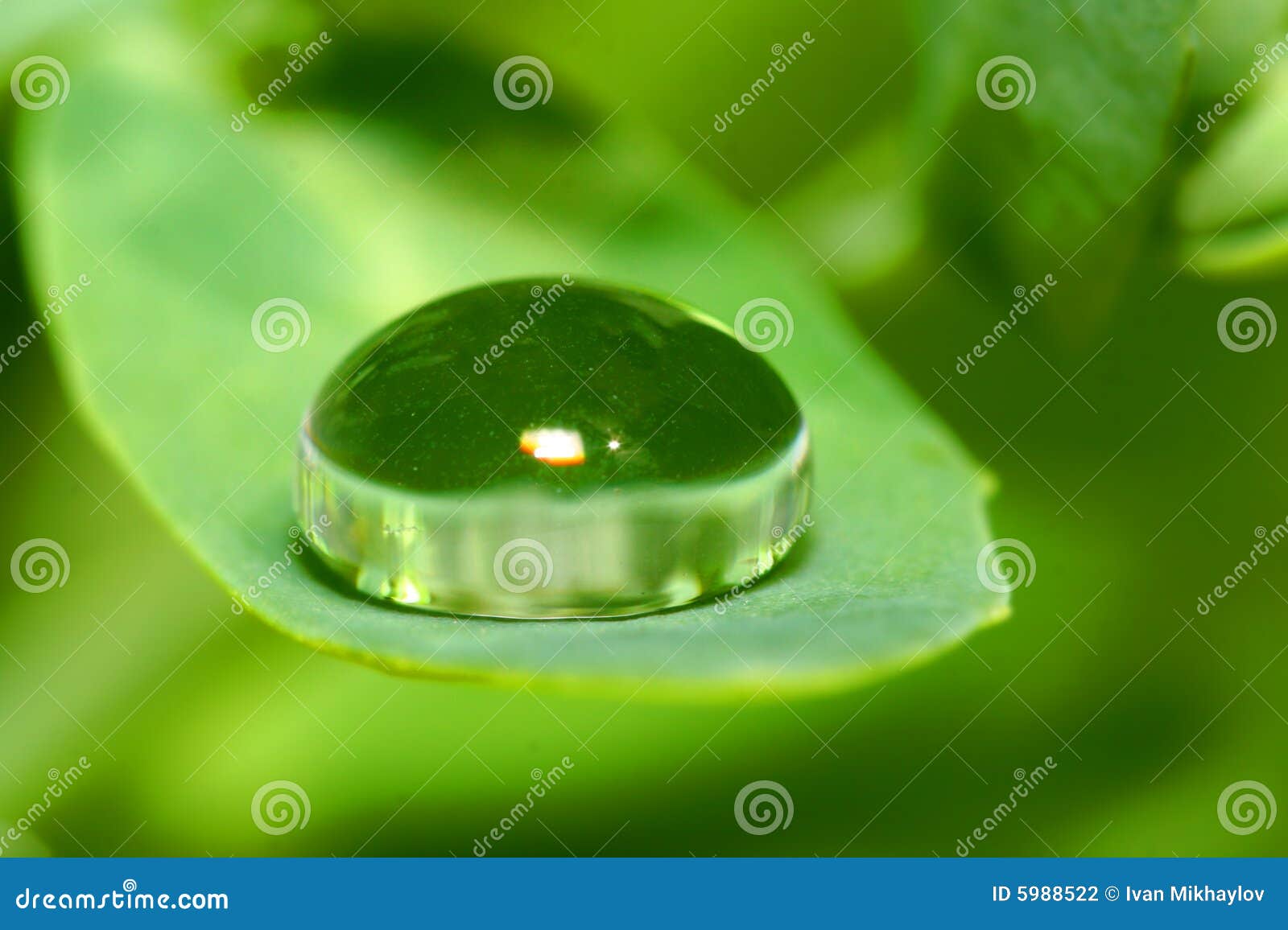 Natural waterdrop stock photo. Image of rain, green, drop - 5988522