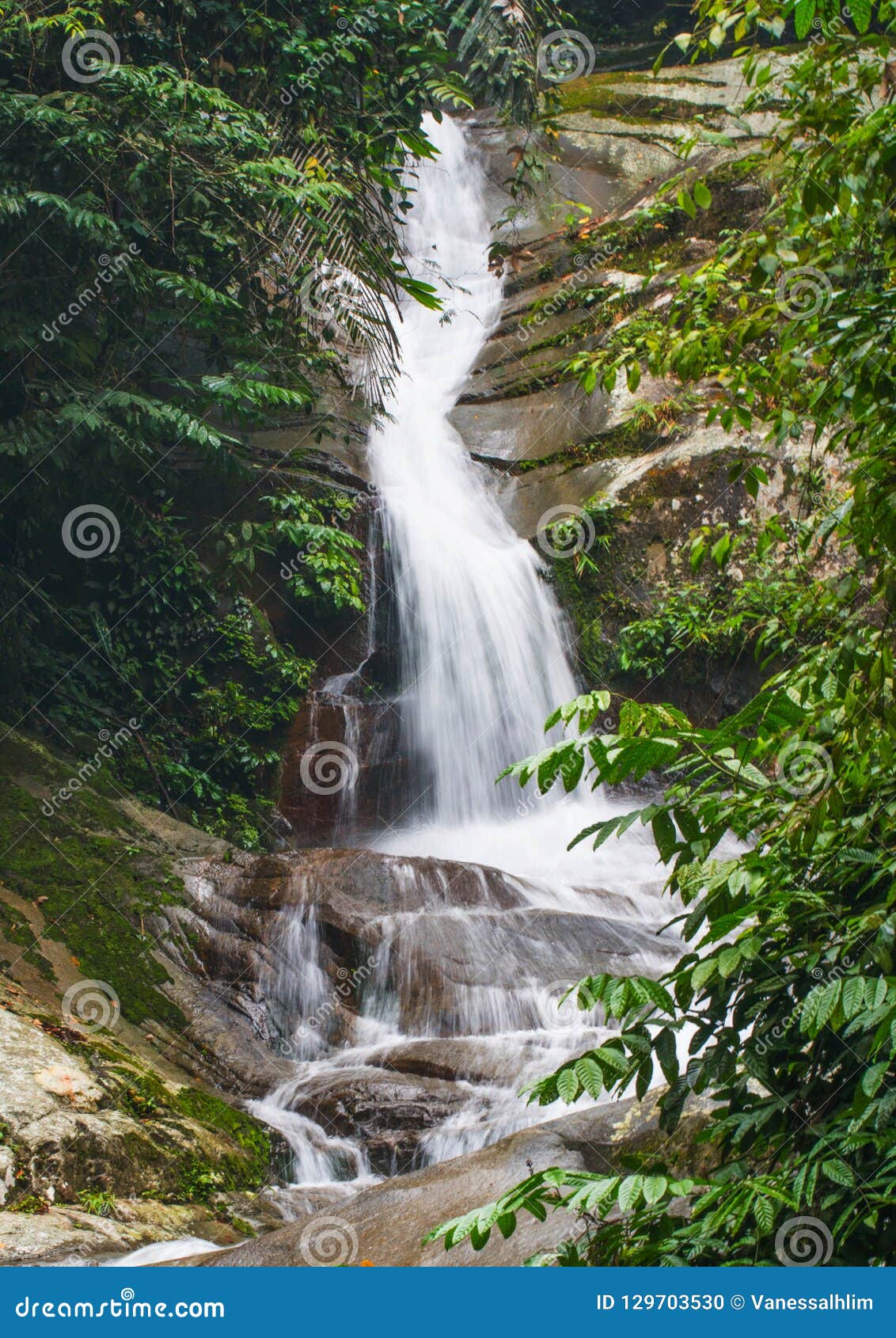 Multi-level Cascading Waterfall in a Tropical Jungle Stock Photo ...