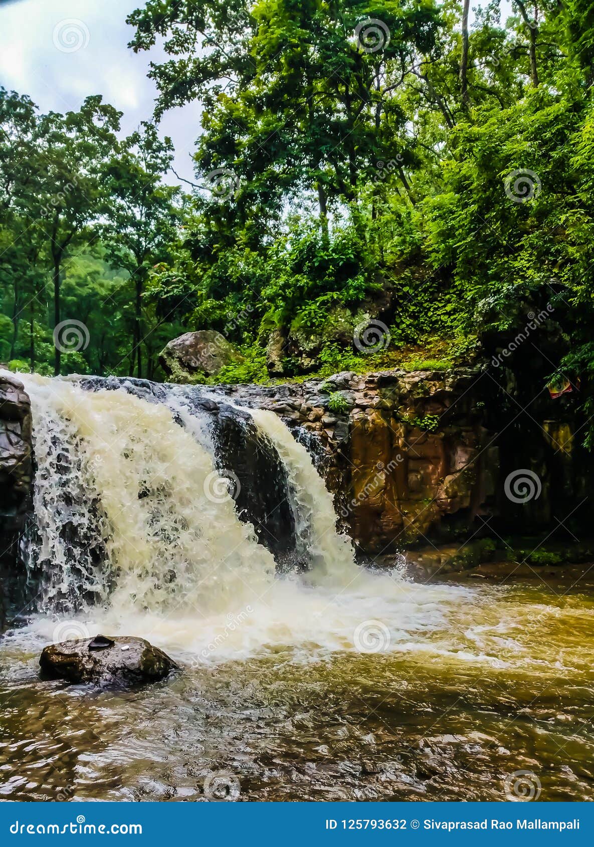 Natural Waterfalls in the Wild Stock Photo - Image of india, wild ...