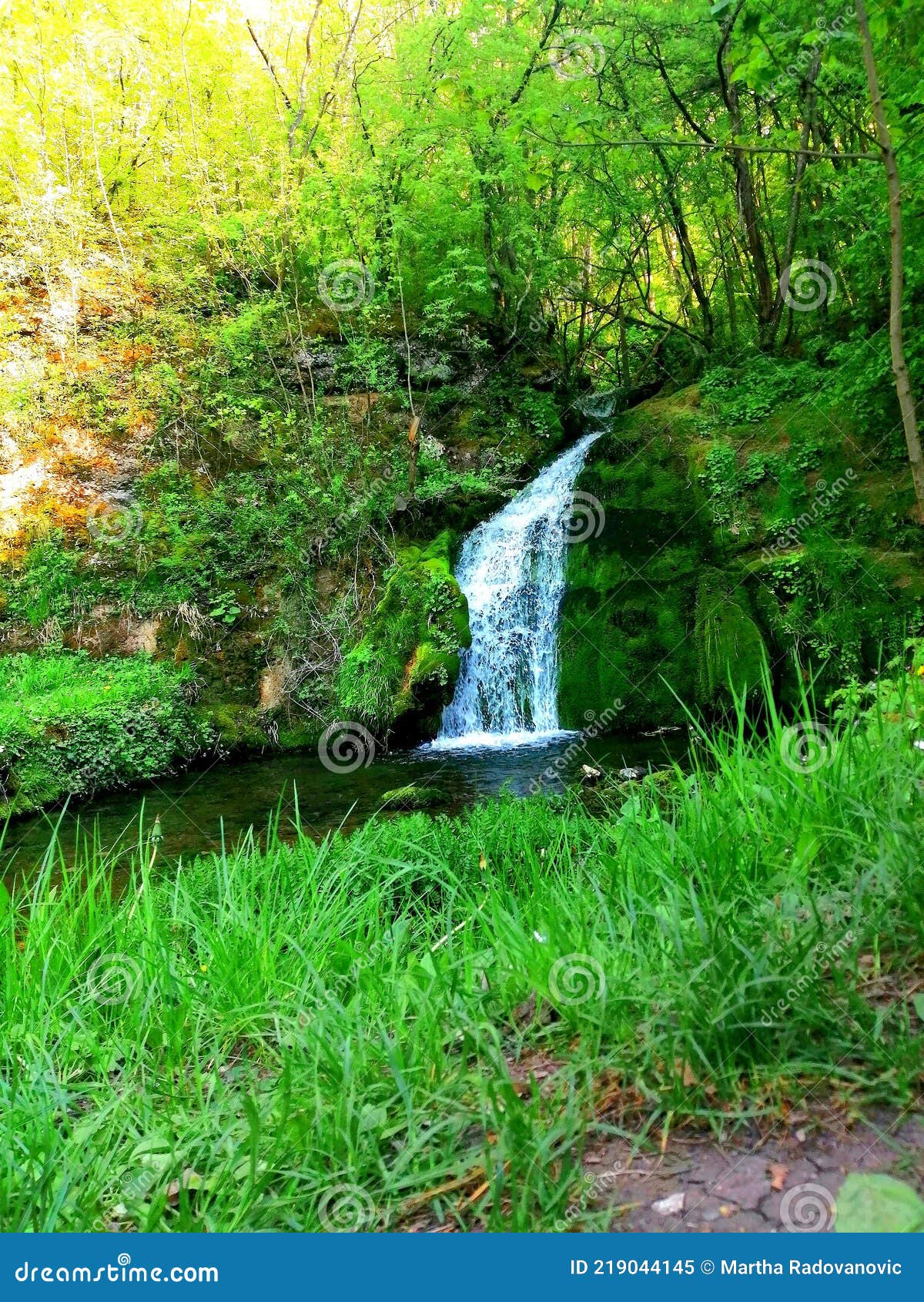 Natural watterfall stock image. Image of enviroment - 219044145