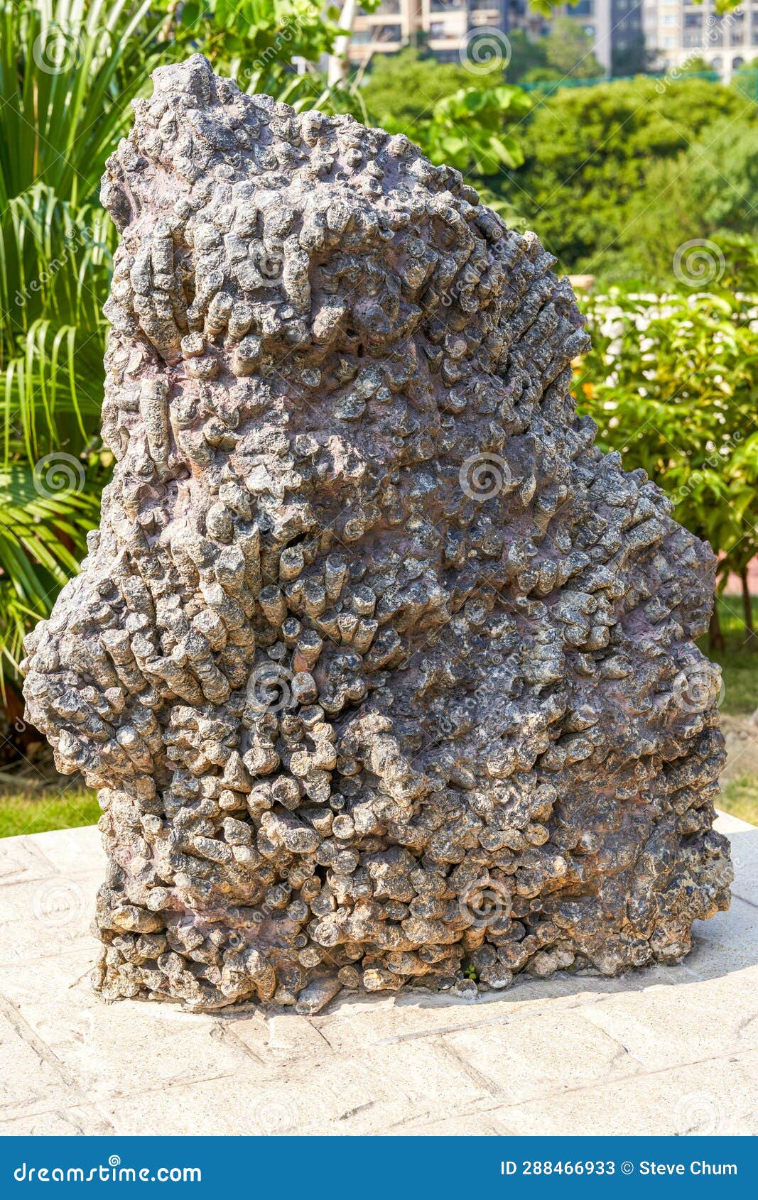 Natural Weathered Rocks in Various Forms in the Park Stock Image ...